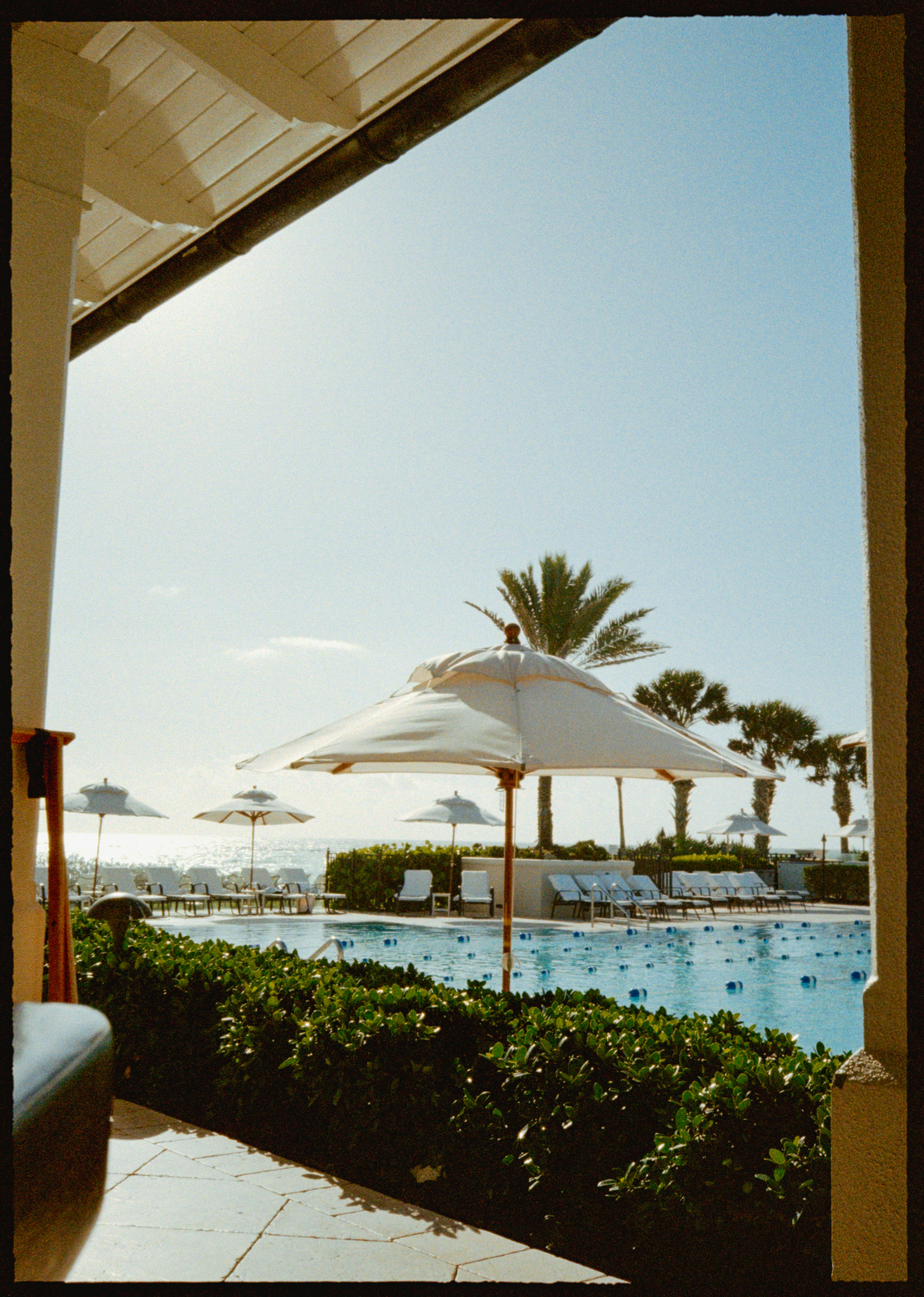 Sunlit Oasis: A Poolside Moment Framed by Pergolas