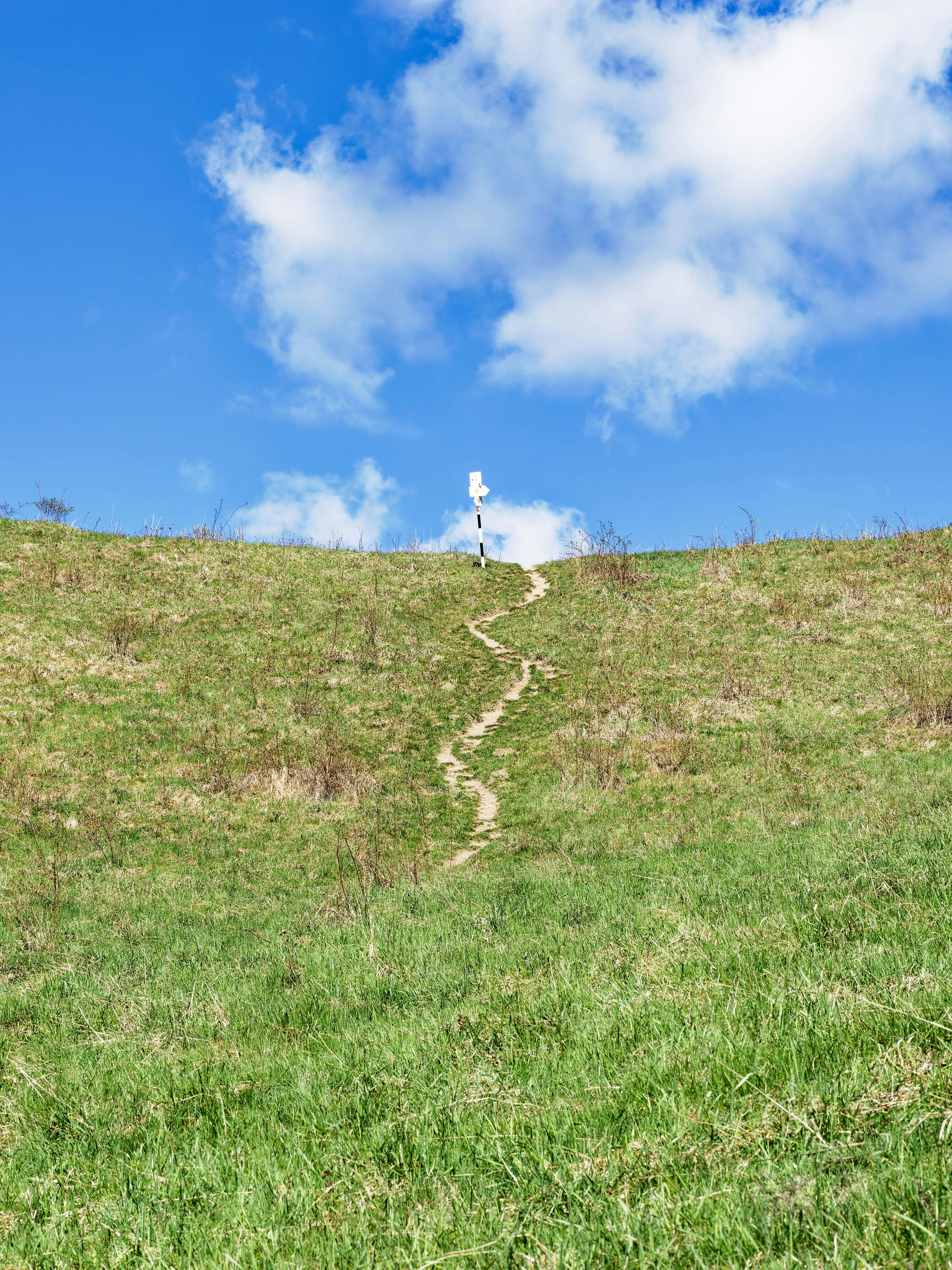 Trail to the Summit Marker