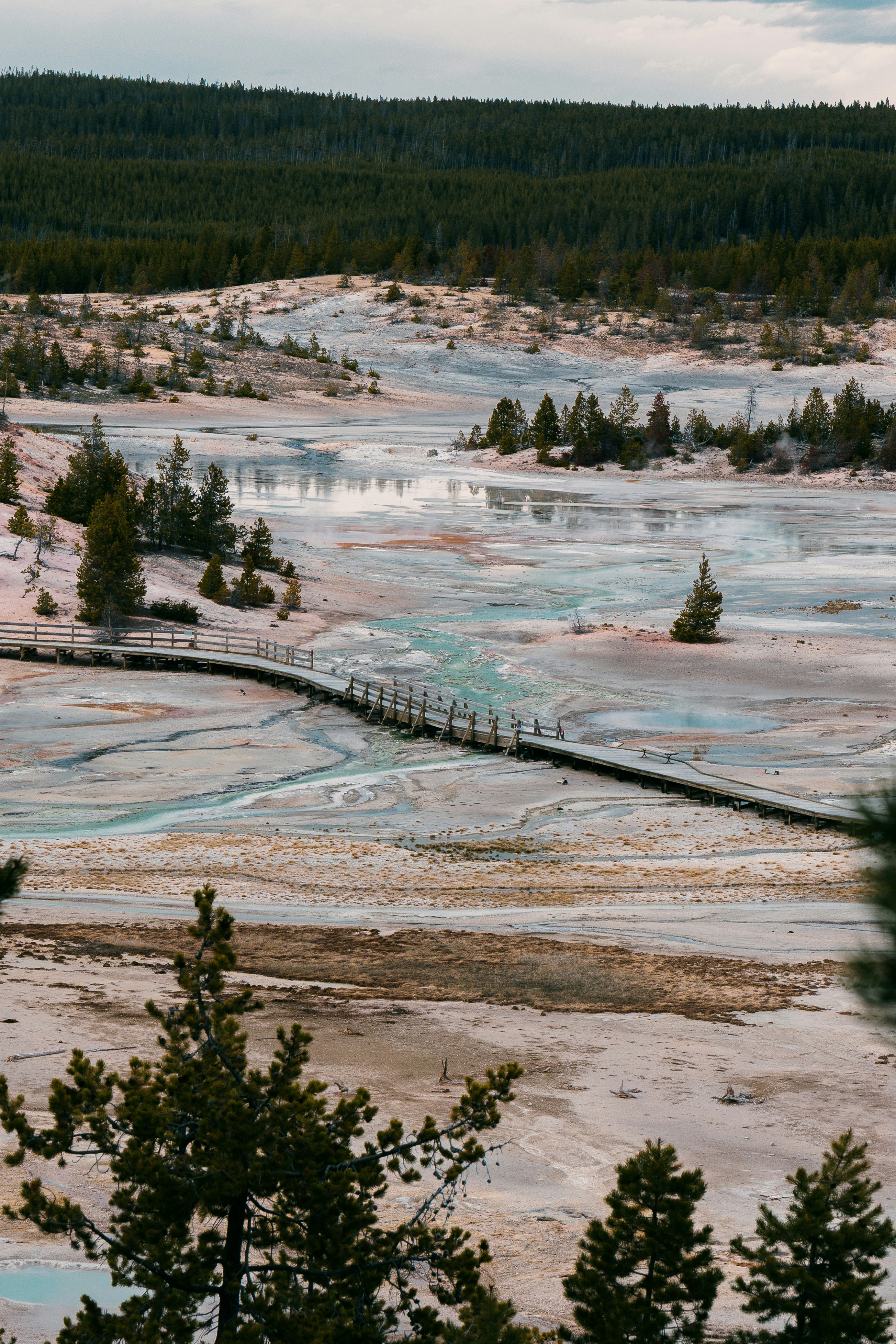 Thermal Terrace Trail Across a Steam-Cooled Basin