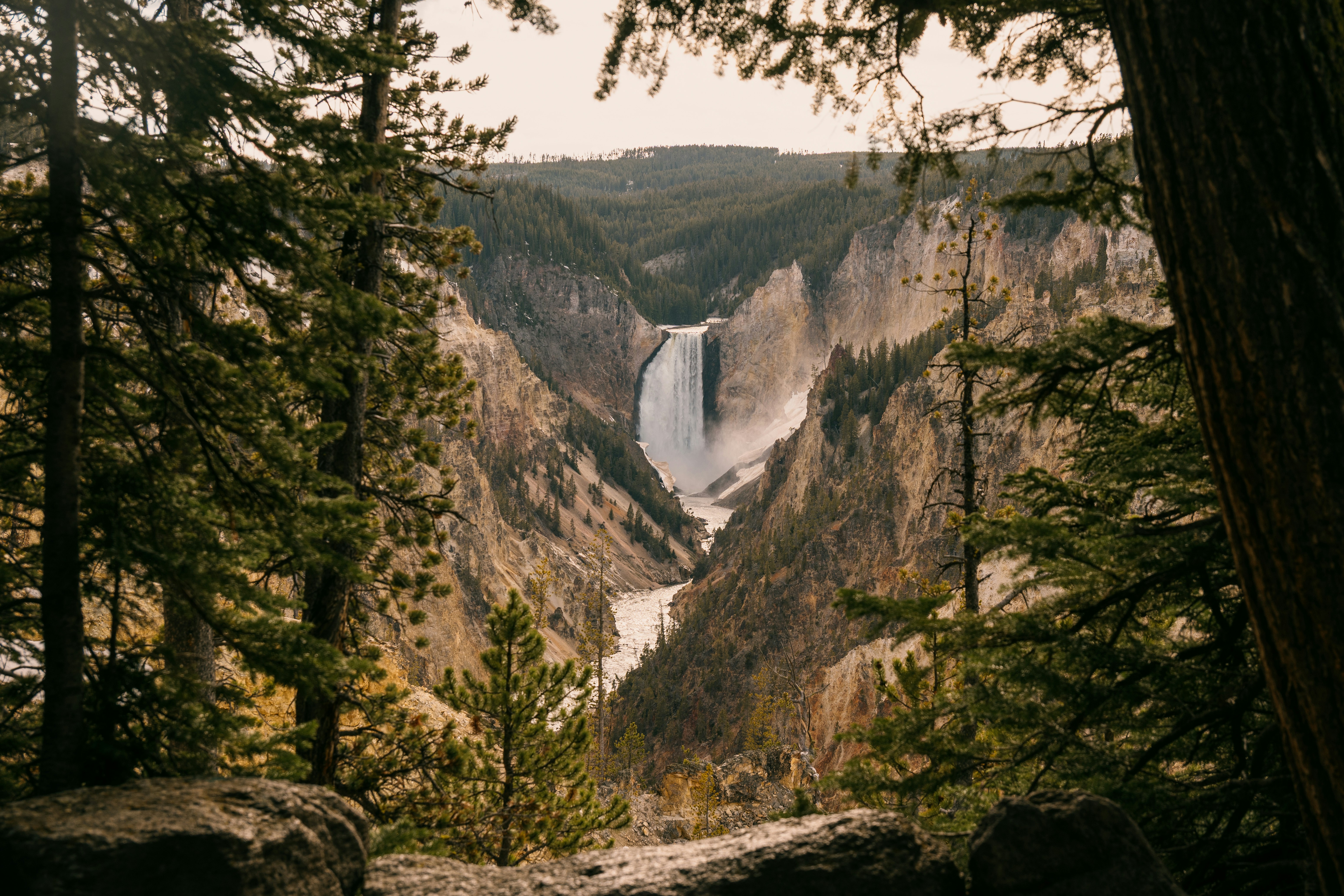 Mist and Cascade: A Forested View Framing Yosemite-esque Falls
