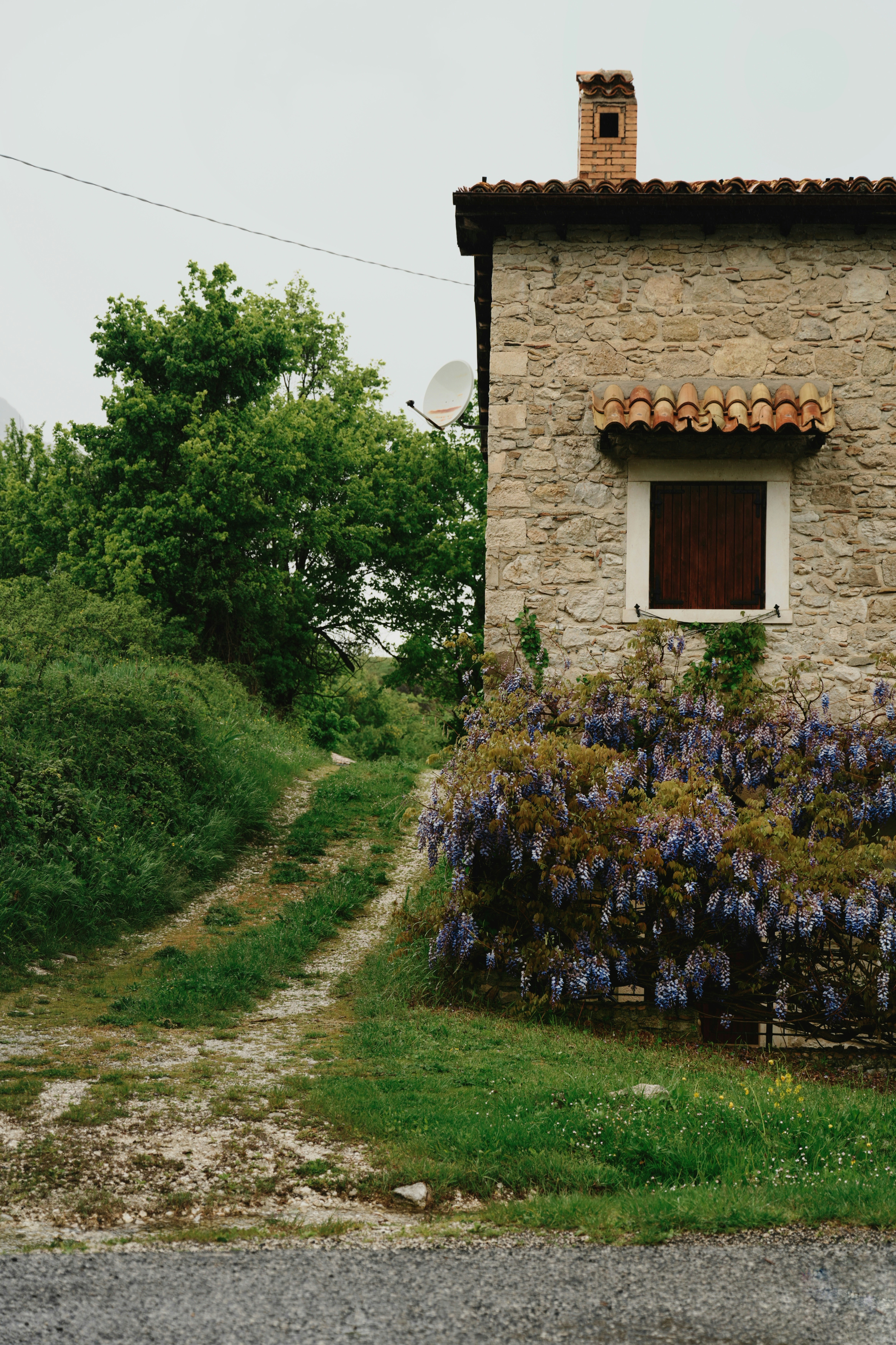 Stone Cottage Corner Blooming with Wisteria