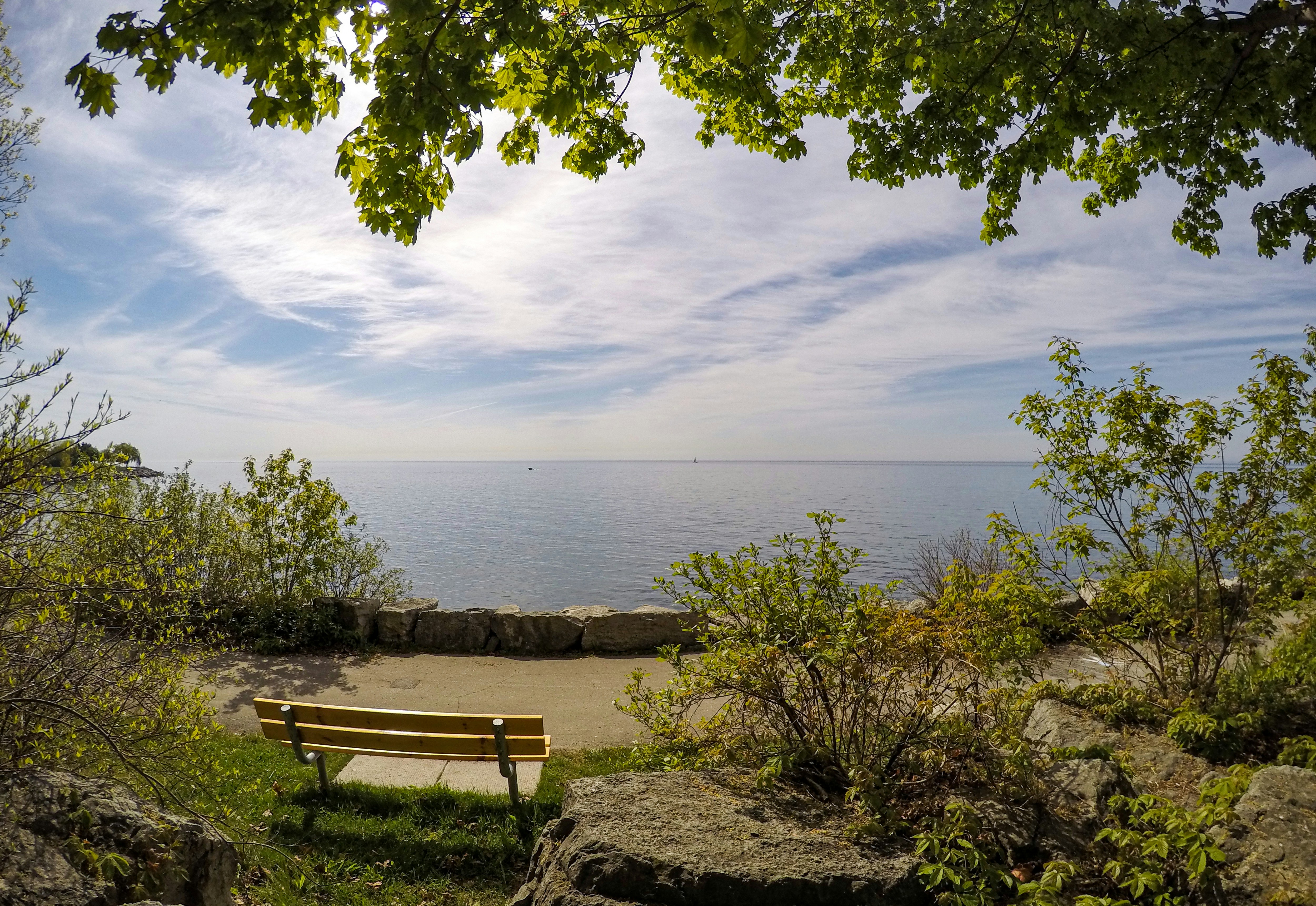 Quiet Lakefront Stillness with Resting Bench