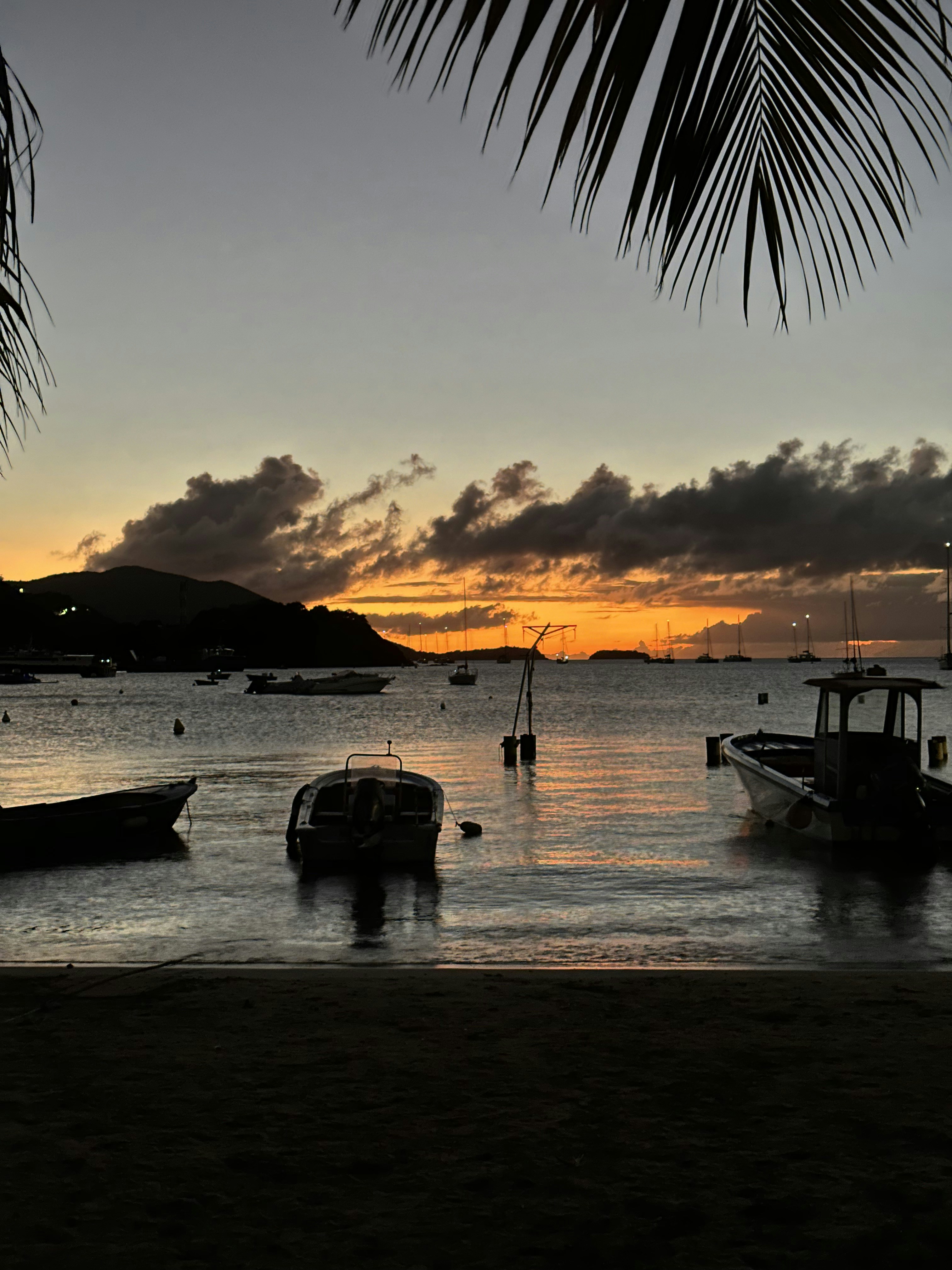 Tropical sunset over a bay with boats and palm fronds.