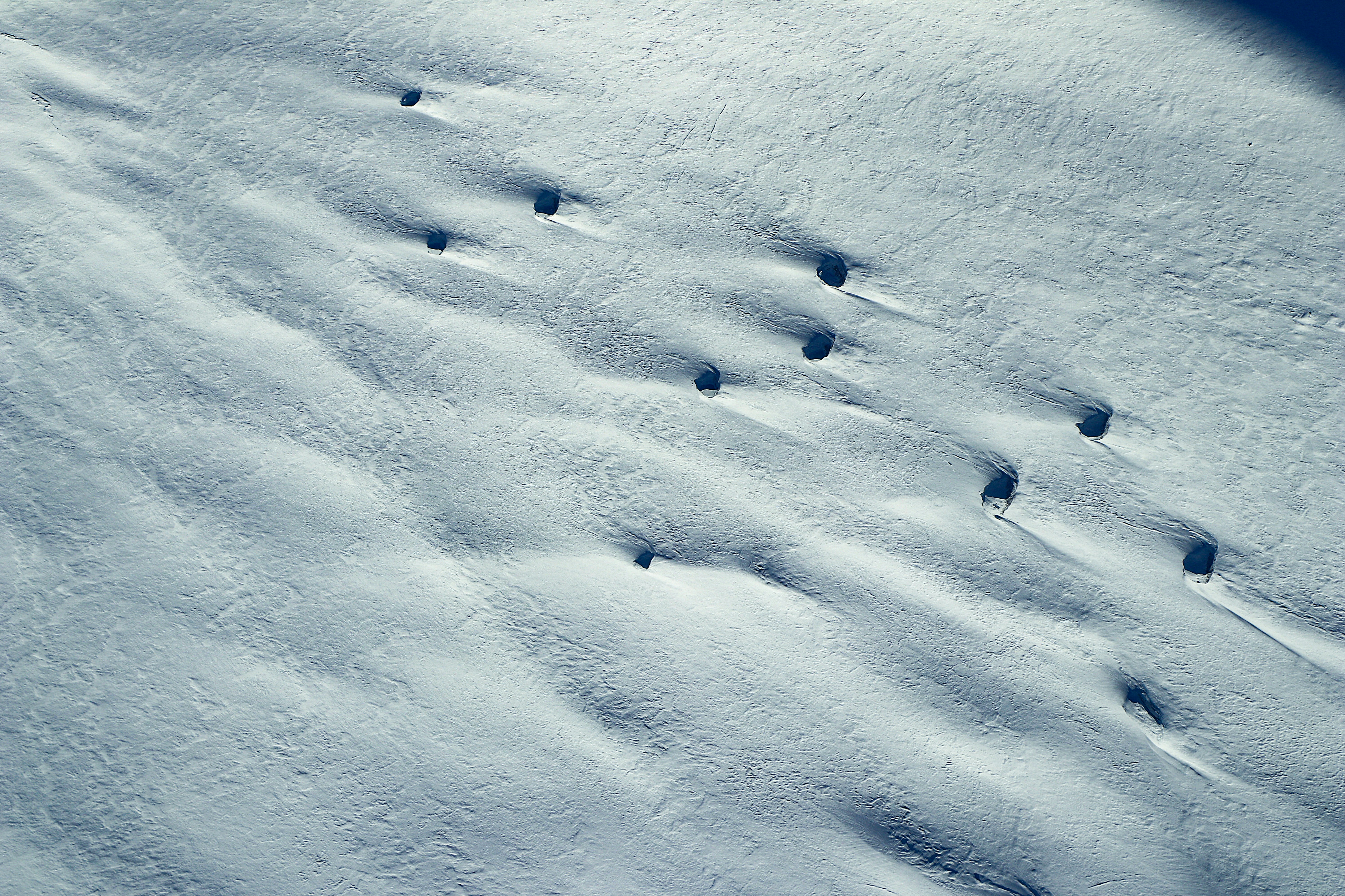 Tracks in a Quiet Snowfield Under Subtle Arc of Light