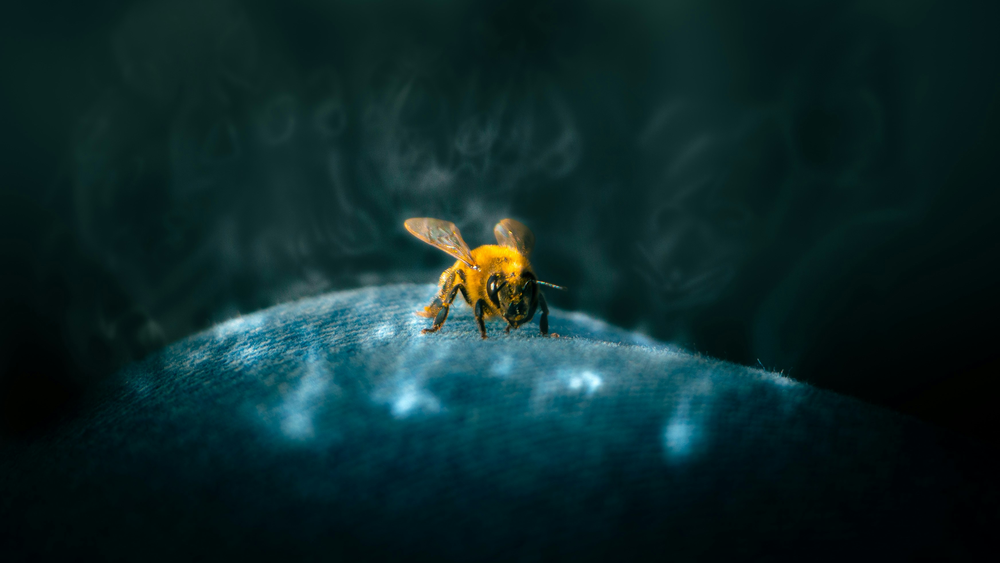 Tiny Explorer on a Moonlit Leaf