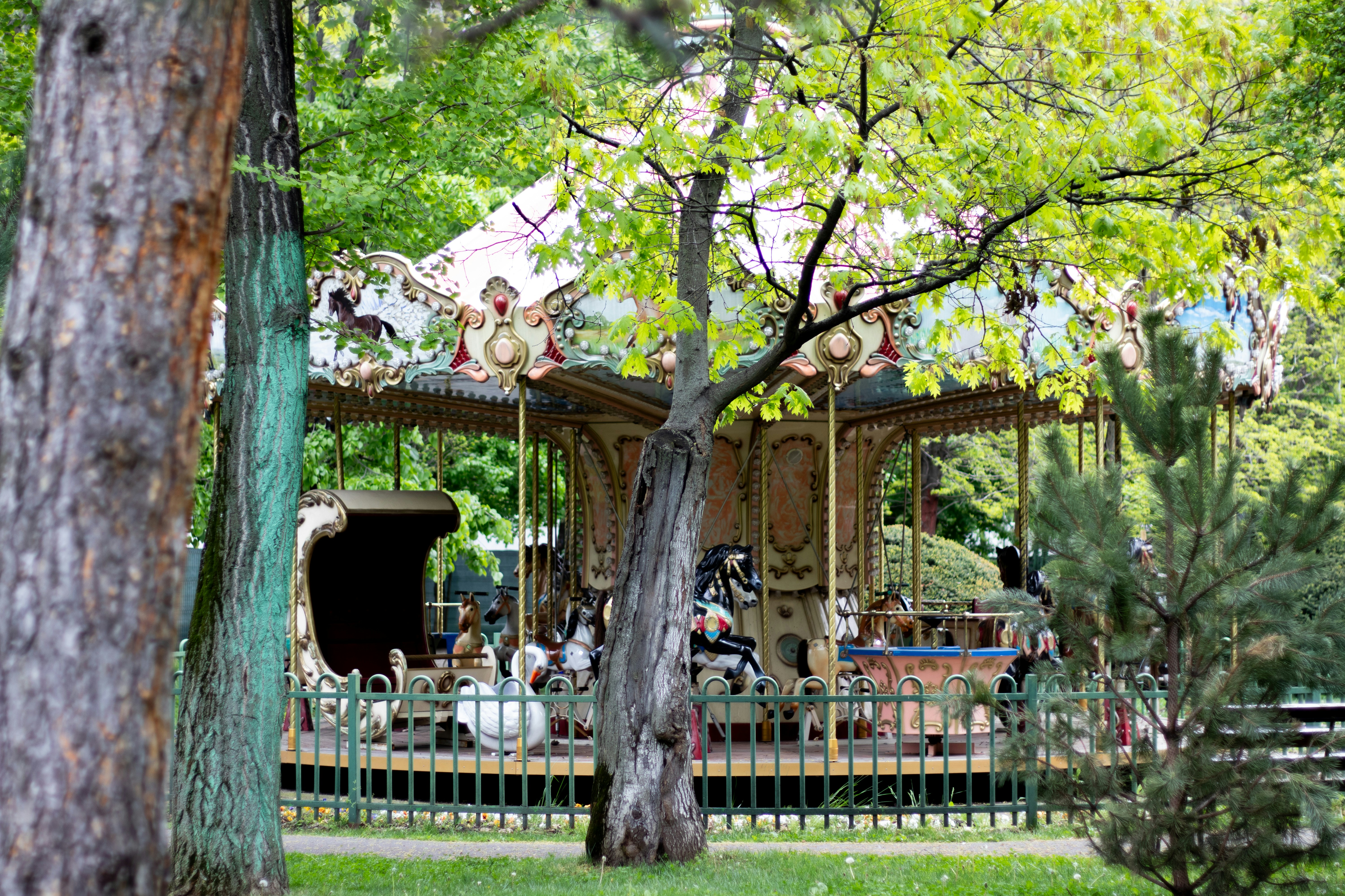 Whispering Carousel Amid Swaying Green: A Quiet Park Moment