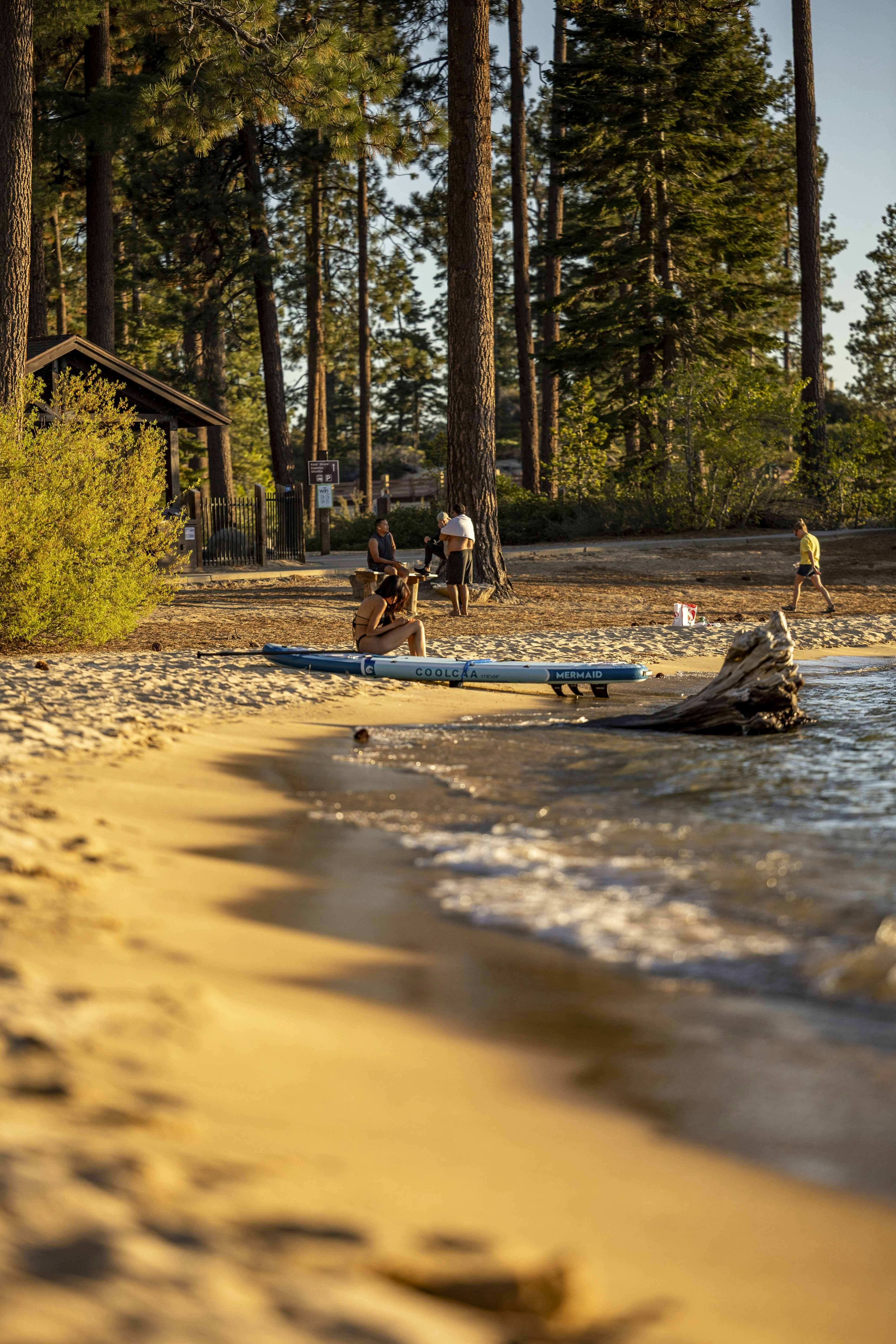 Sunlit Shoreline: Families and a Kayak Rest Near Driftwood