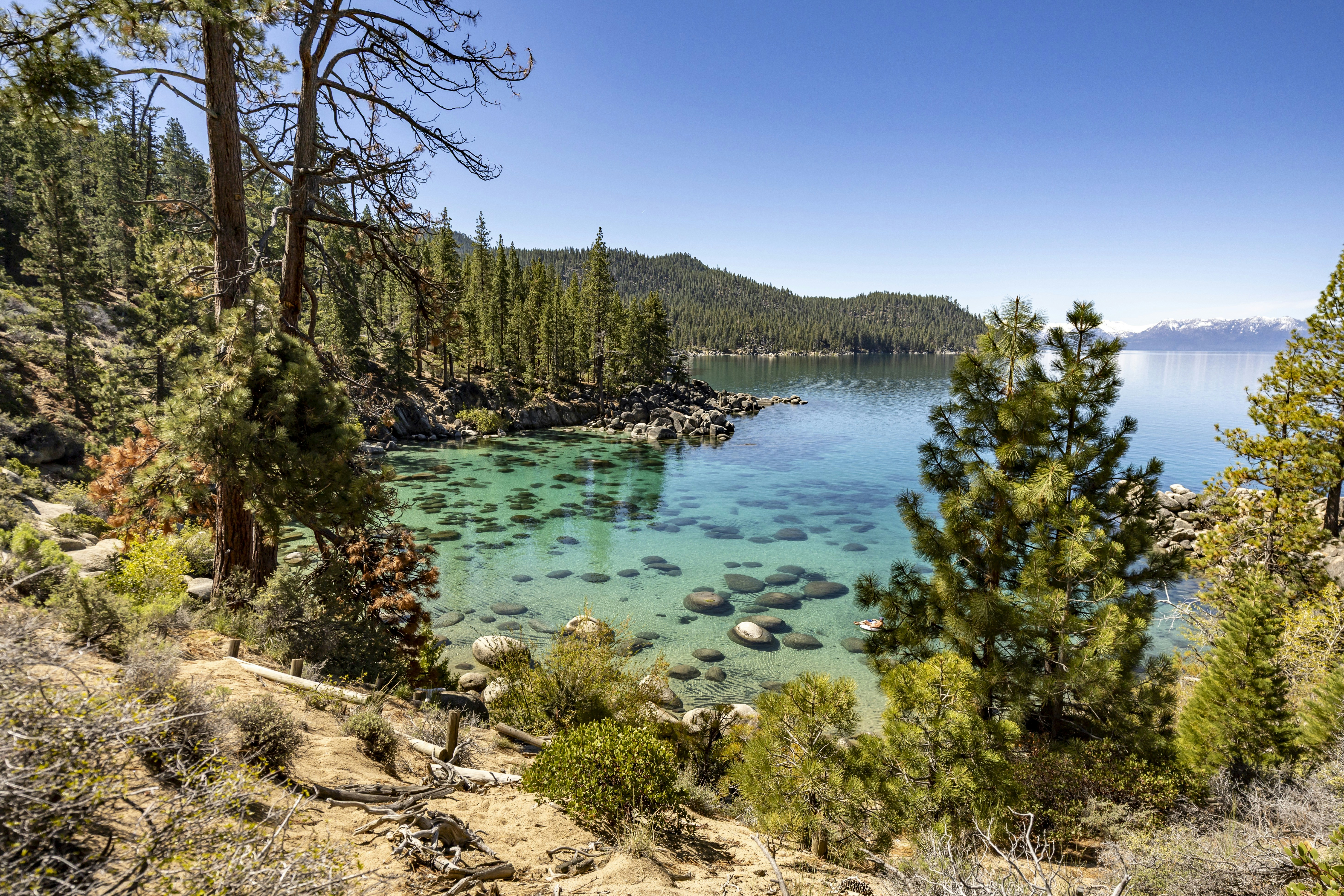Clear blue lake surrounded by pine trees and rocky shores.