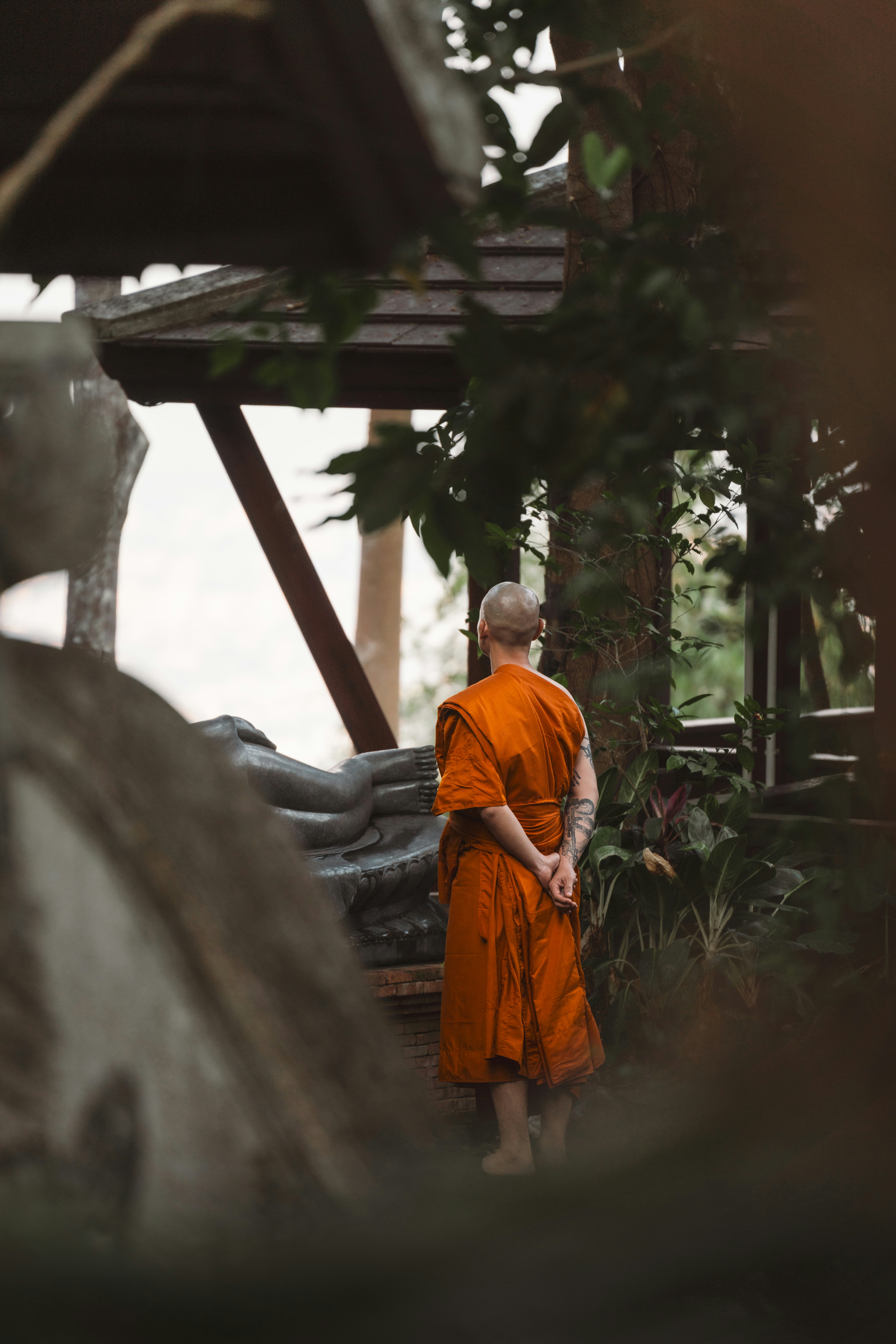 Monk in Orange: Tranquil Silhouette Among Temple Garden