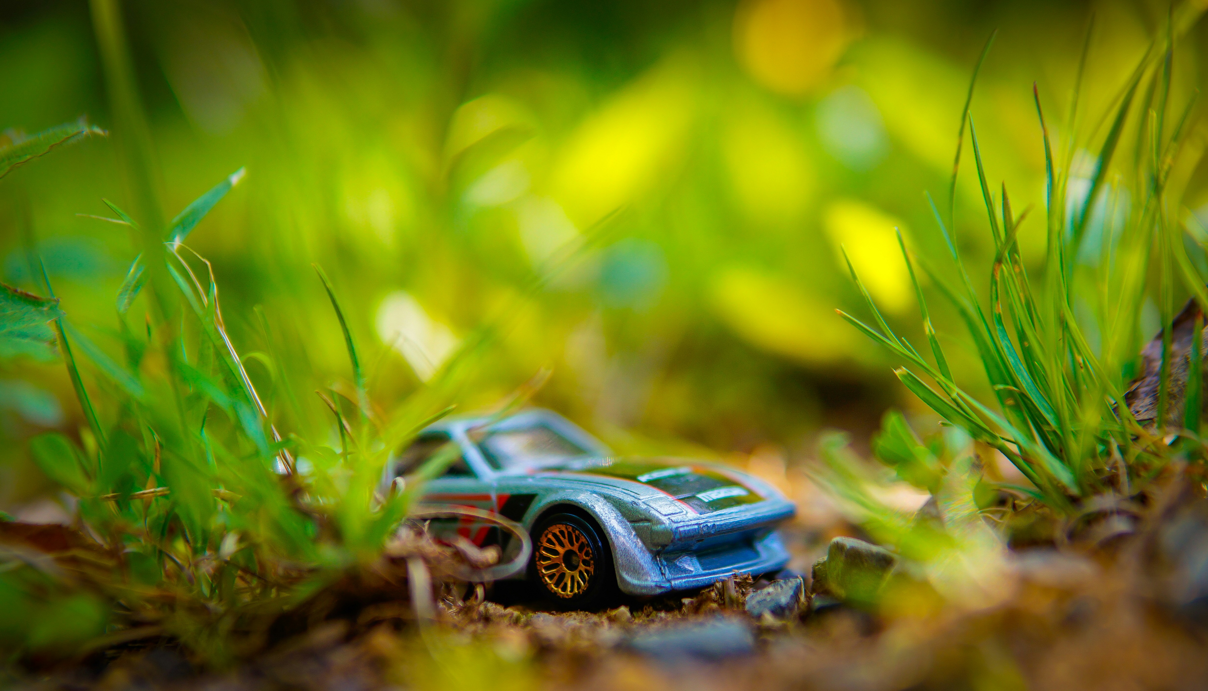 Mini Racer in a Gentle Meadow: A Toy Car Amid Plush Greenery