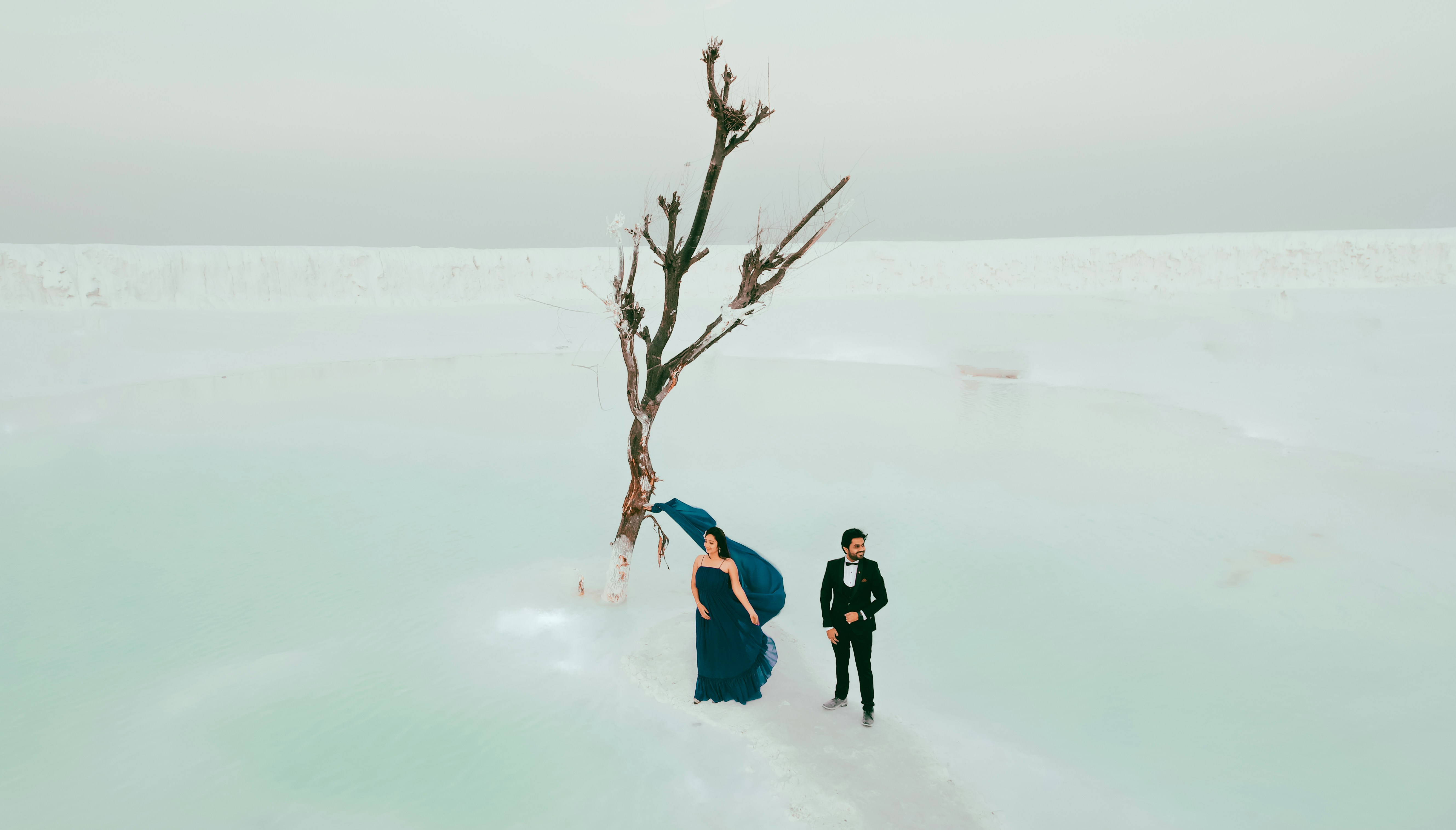 Deserted Tree, Distant Couple: A Silent Reunion in Pale Waters
