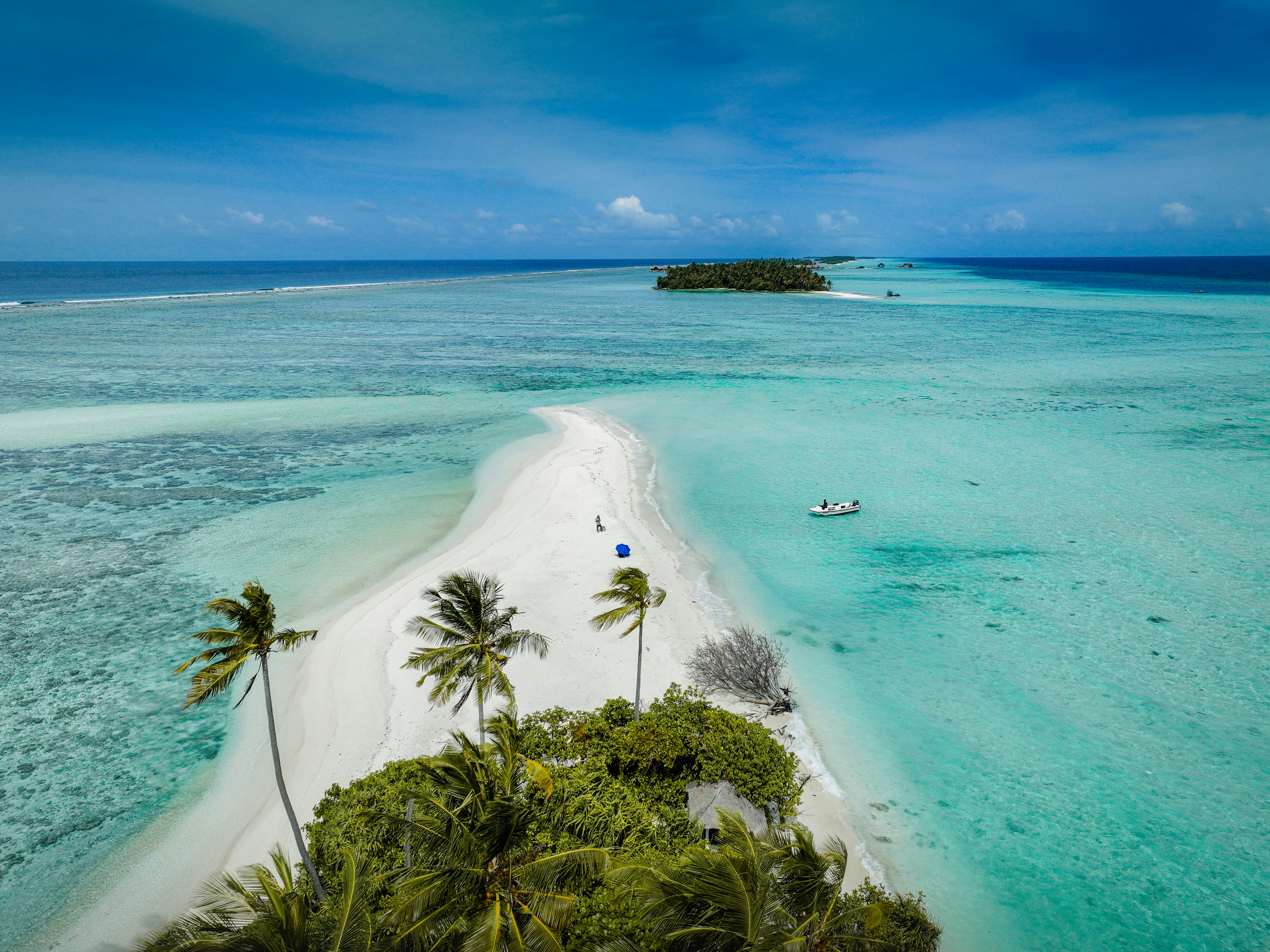 Isolated Sandbar Crowned by Palms in Turquoise Caribbean