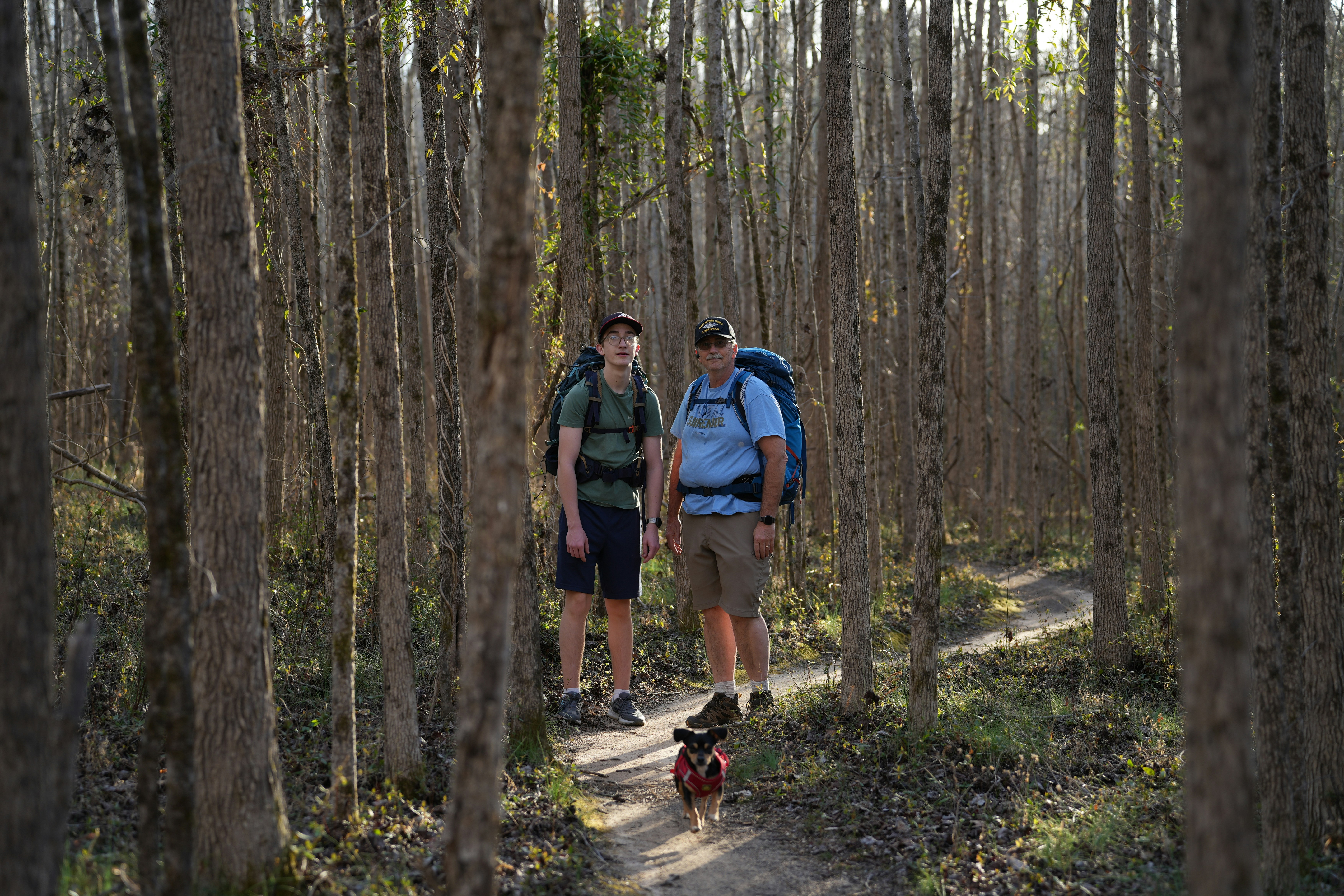 Two hikers and a small dog traverse a sun-dappled pine forest trail