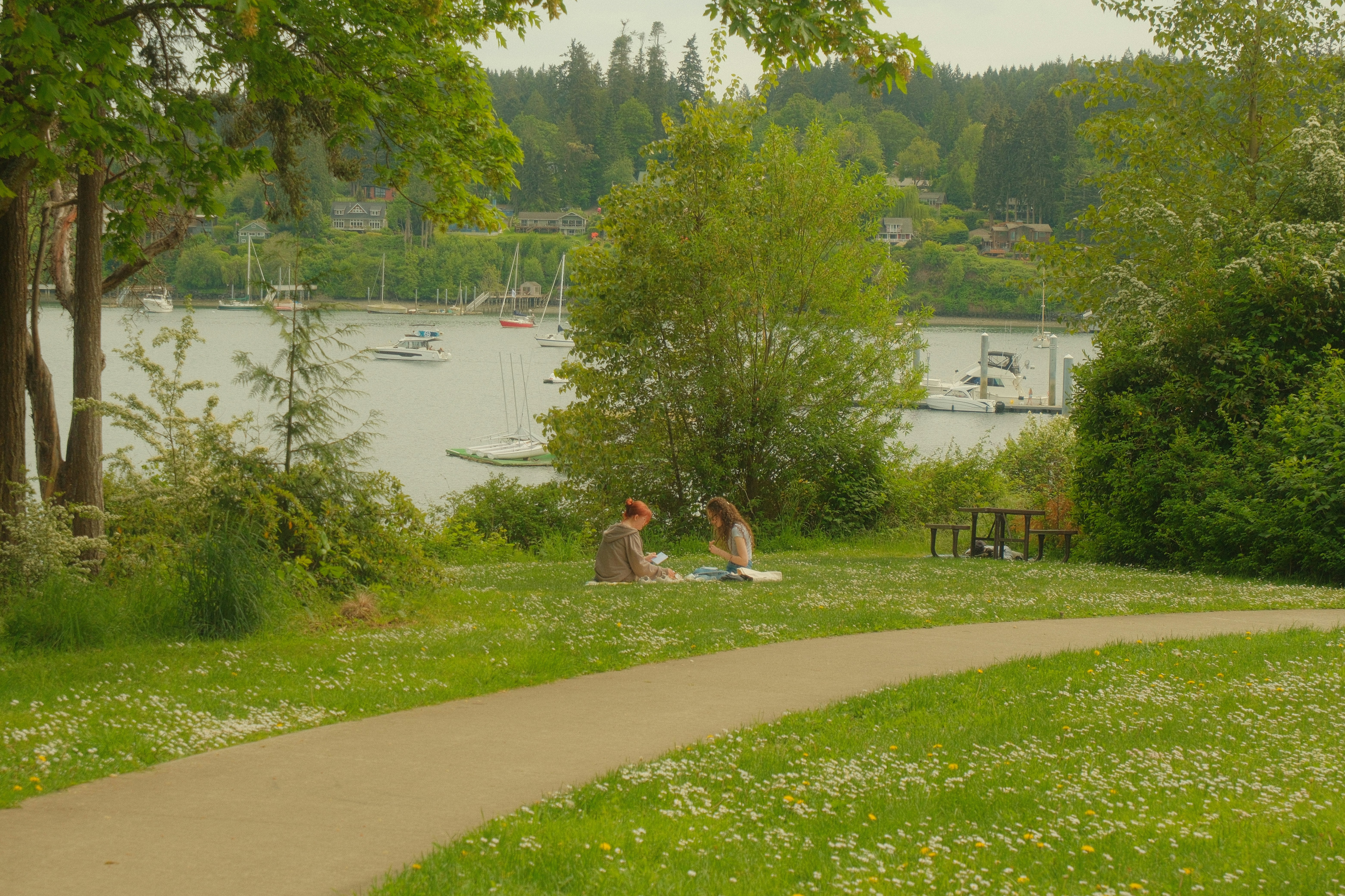 Picnic by the Quiet Lake: A Sunlit Pause Among Daisies
