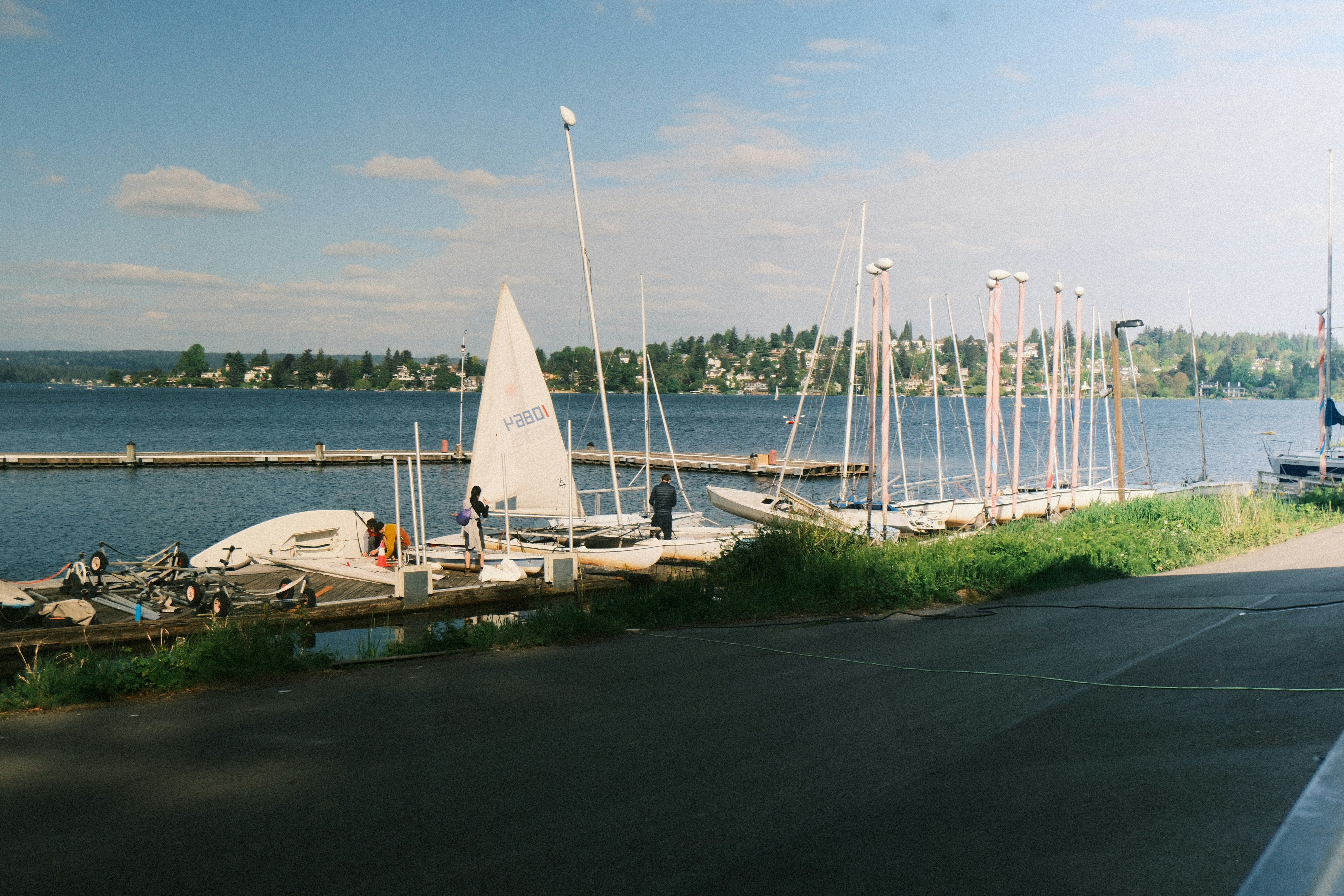 Masts in a Quiet Marina: Sailboats Resting by the Shore