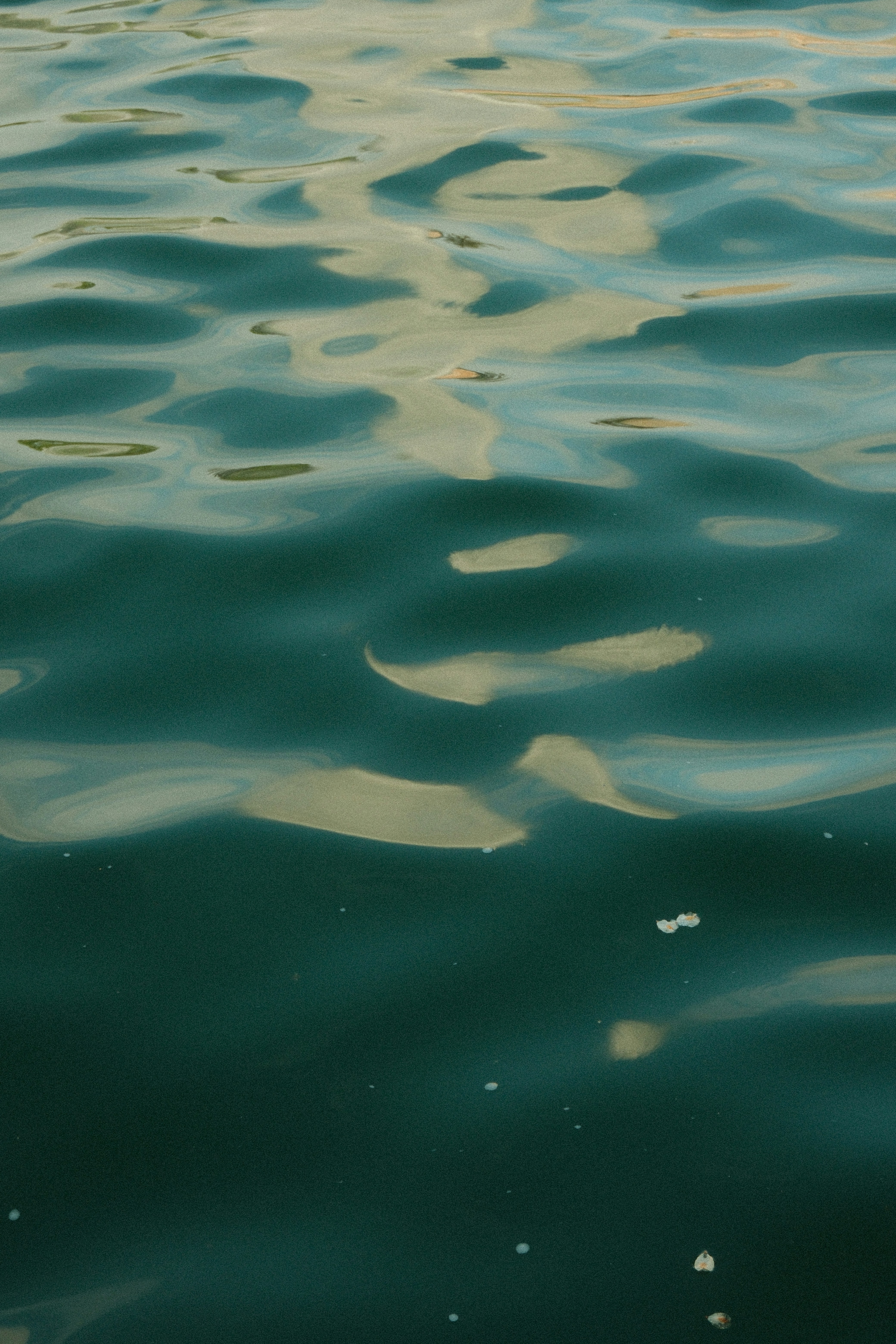 Sunlit Ripples on a Quiet Sea Surface