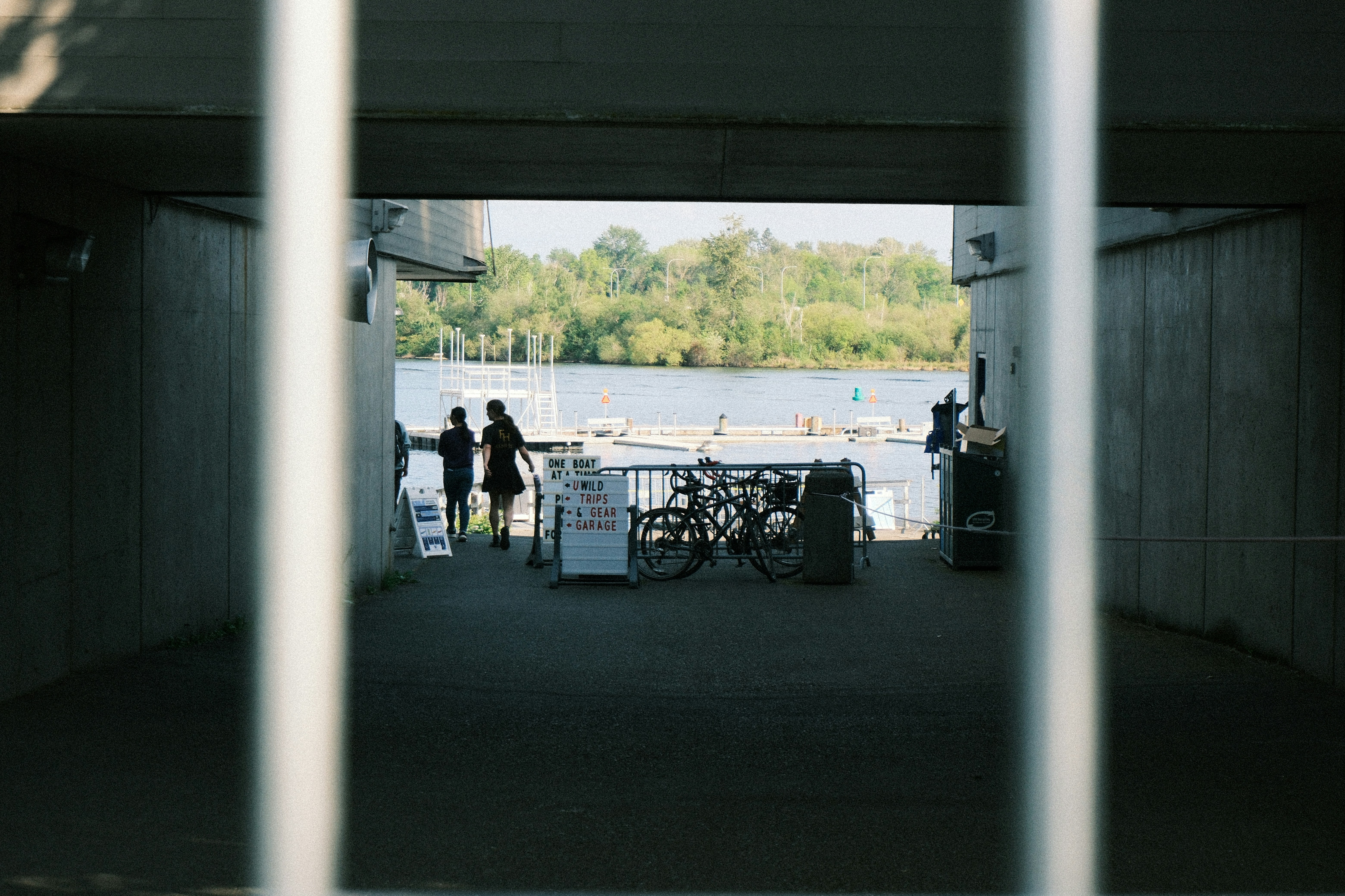 Beneath the Bridge: silhouettes, bicycles, and a sunlit lake