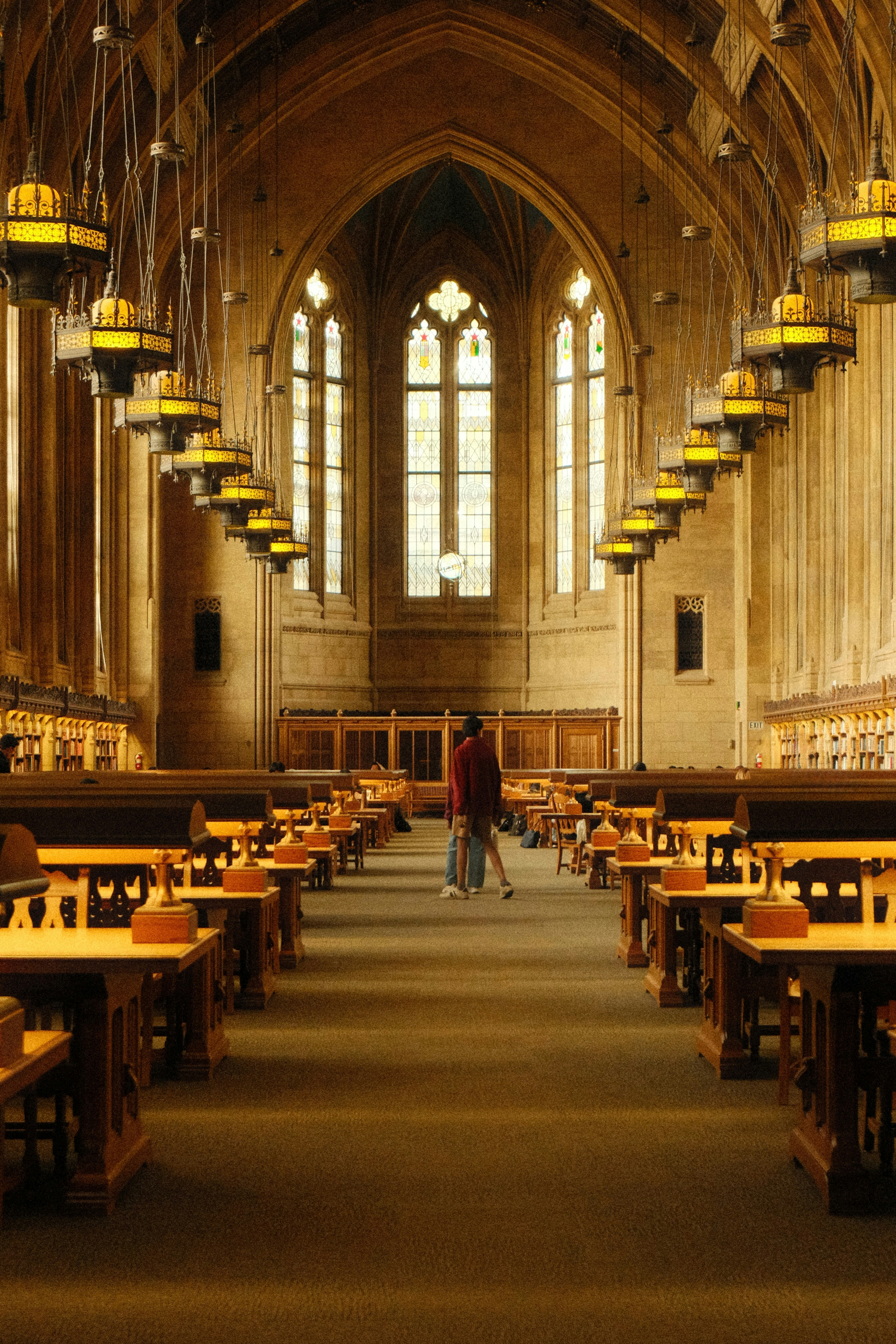 Whispers of the Library Aisle: A Lone Figure Beneath Gothic Arches