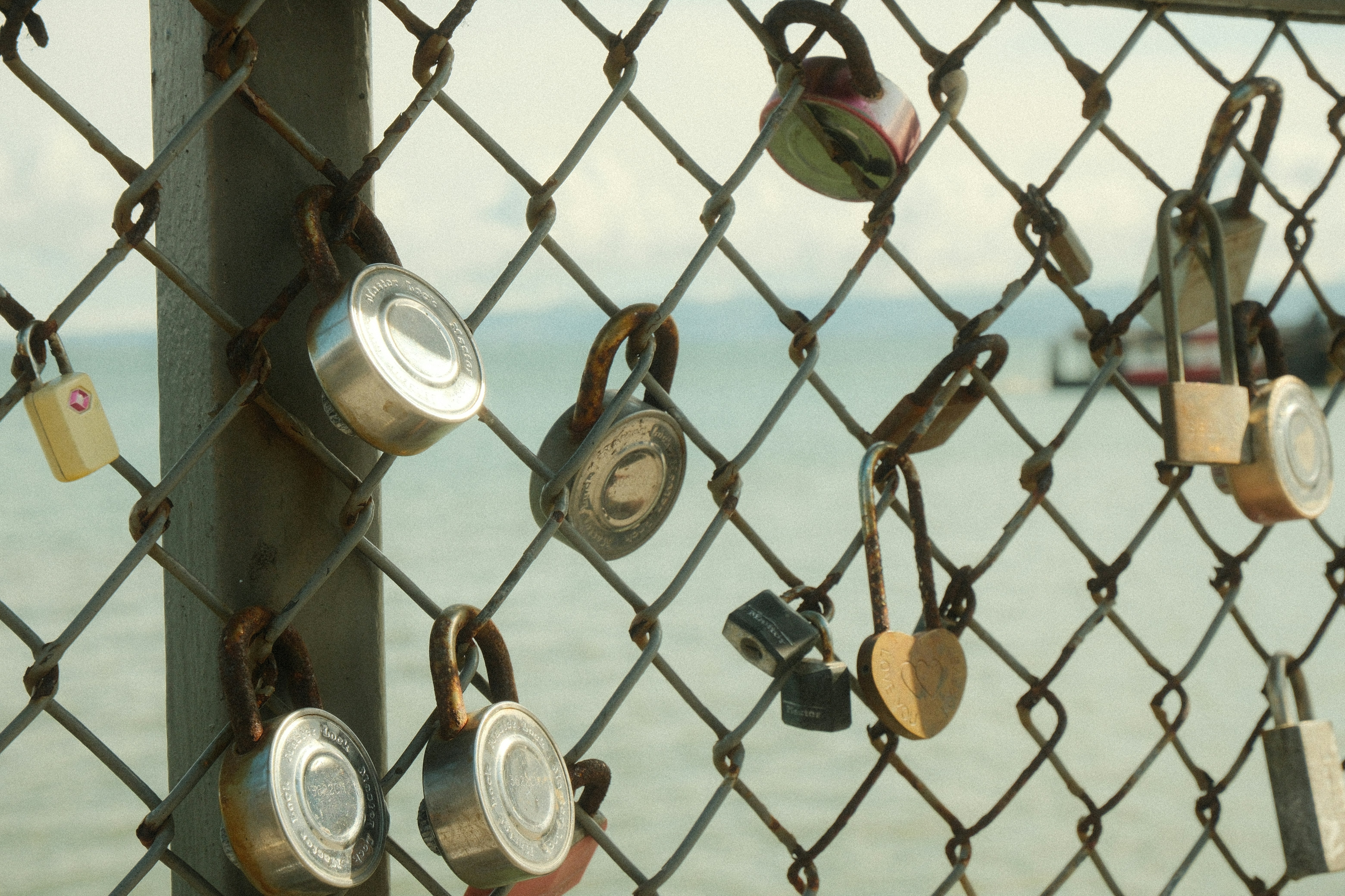 Locks on a Weathered Fence Overlooking the Sea