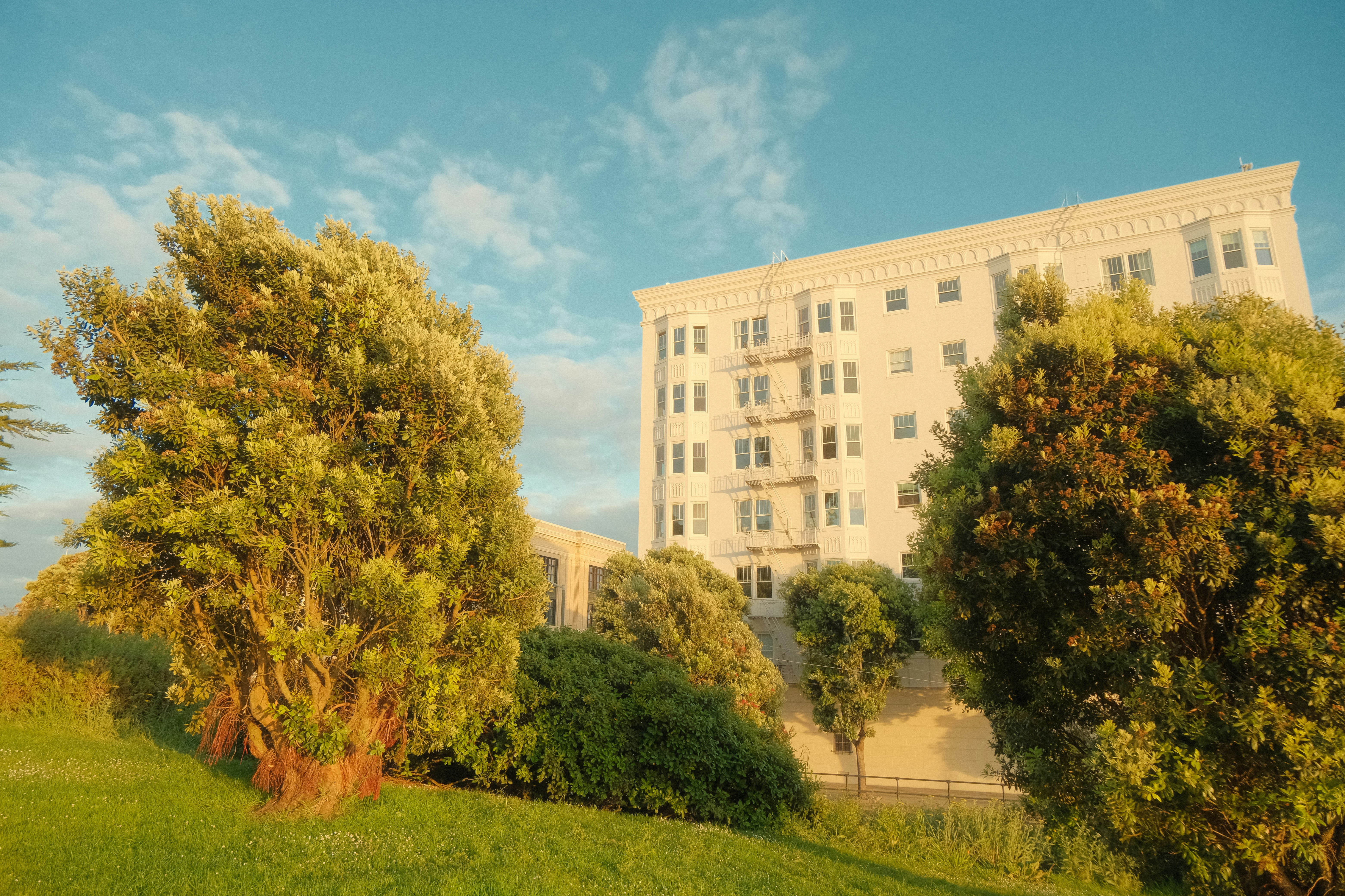 Sunlit Campus Facade Rising Over Quiet Greenery
