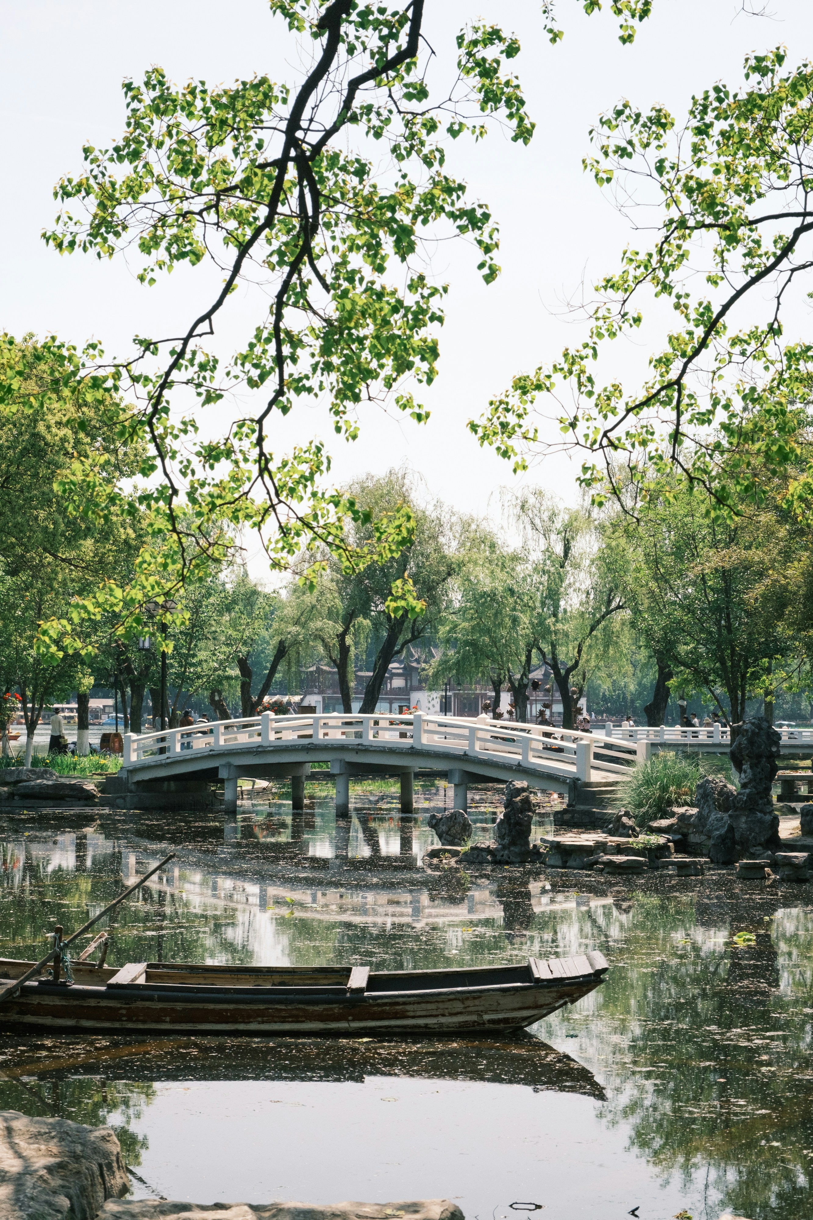 Silent Arbor: A Wooden Boat Basks Under a Bridge of Willows