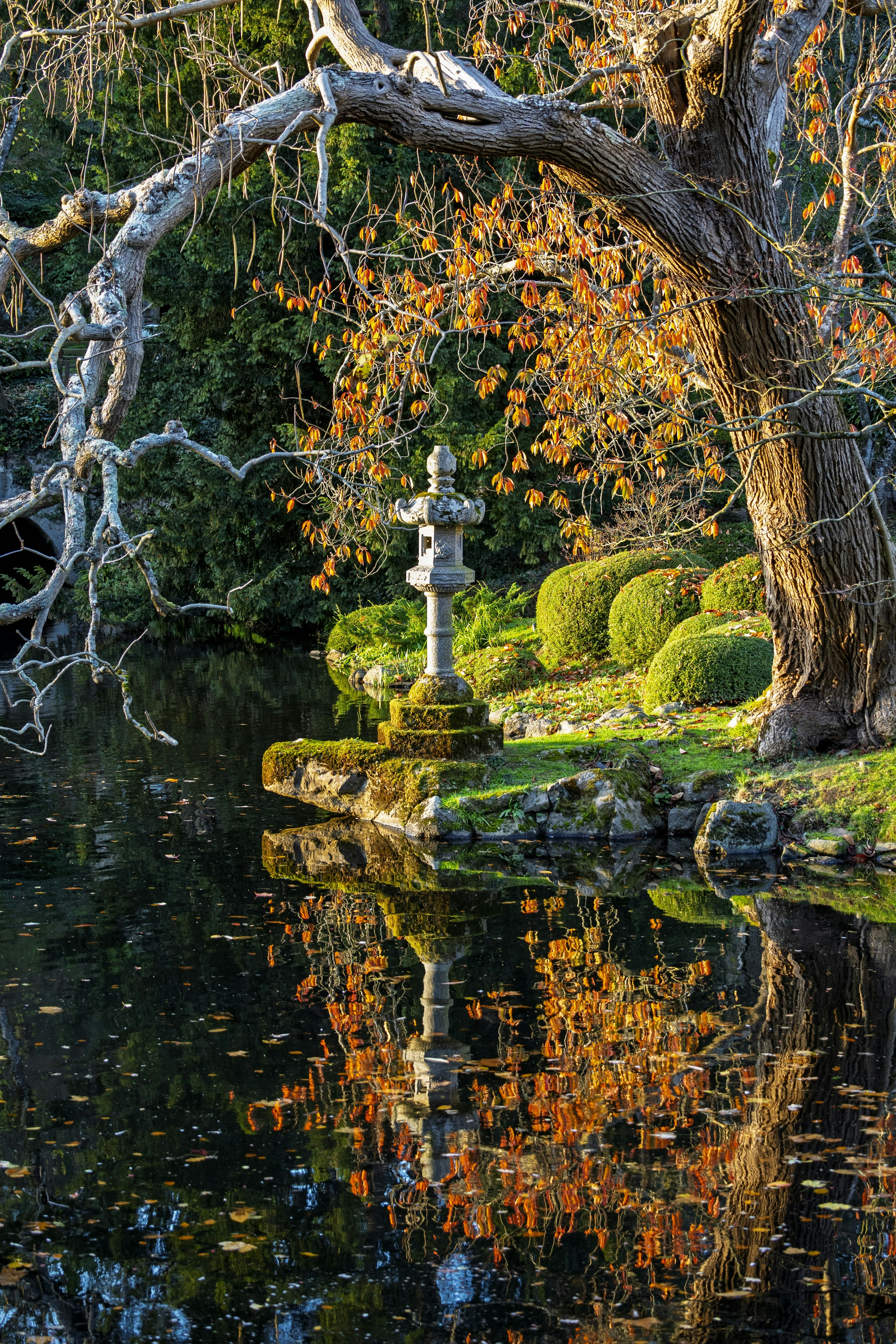 Reflections and Lantern in the Japanese Garden