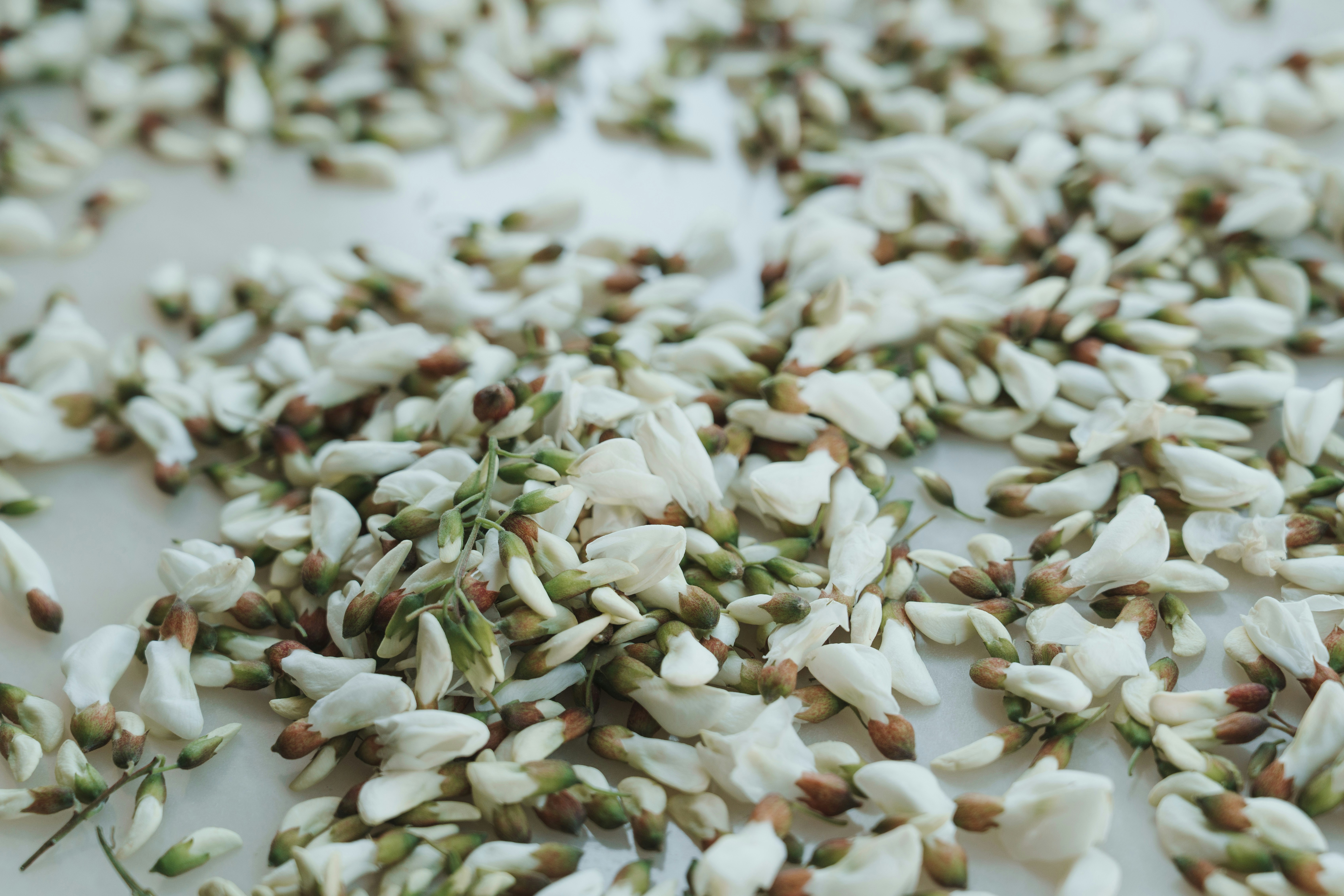 Petals on the Table: Delicate White Bloom Fragments