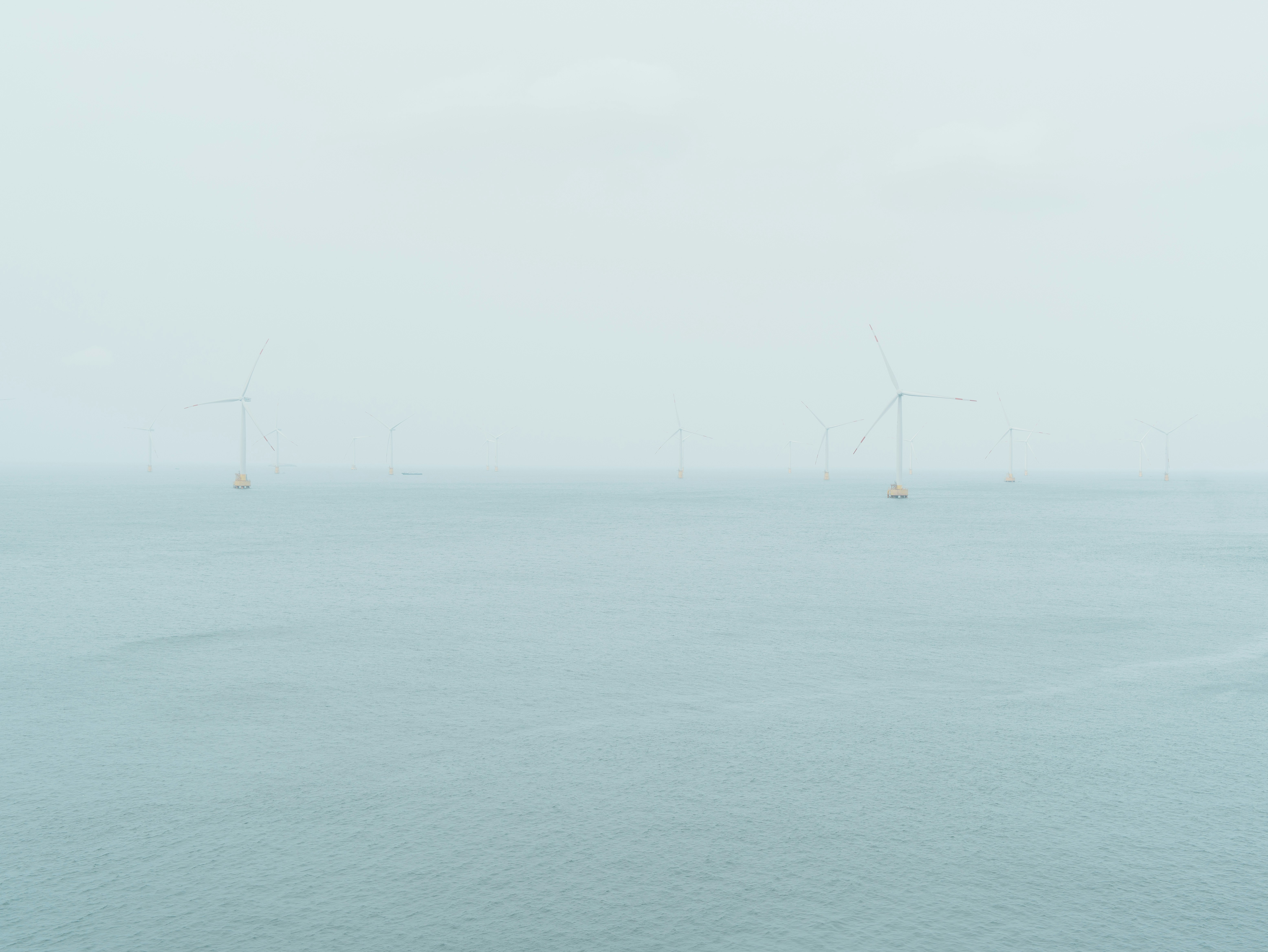 Whispers of the Offshore Wind Farm