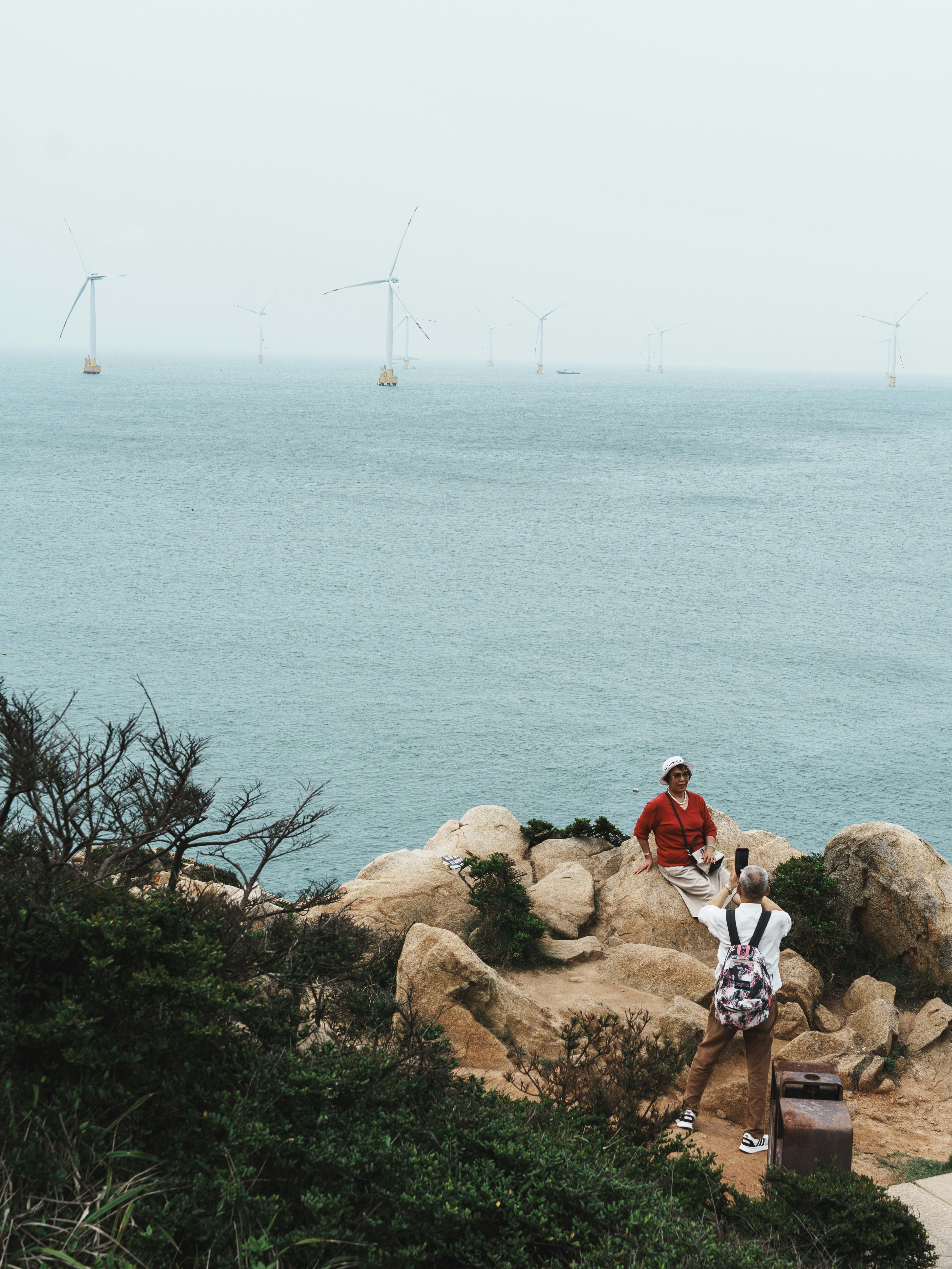 Coastal Rendezvous on Wind-Swept Cliffs