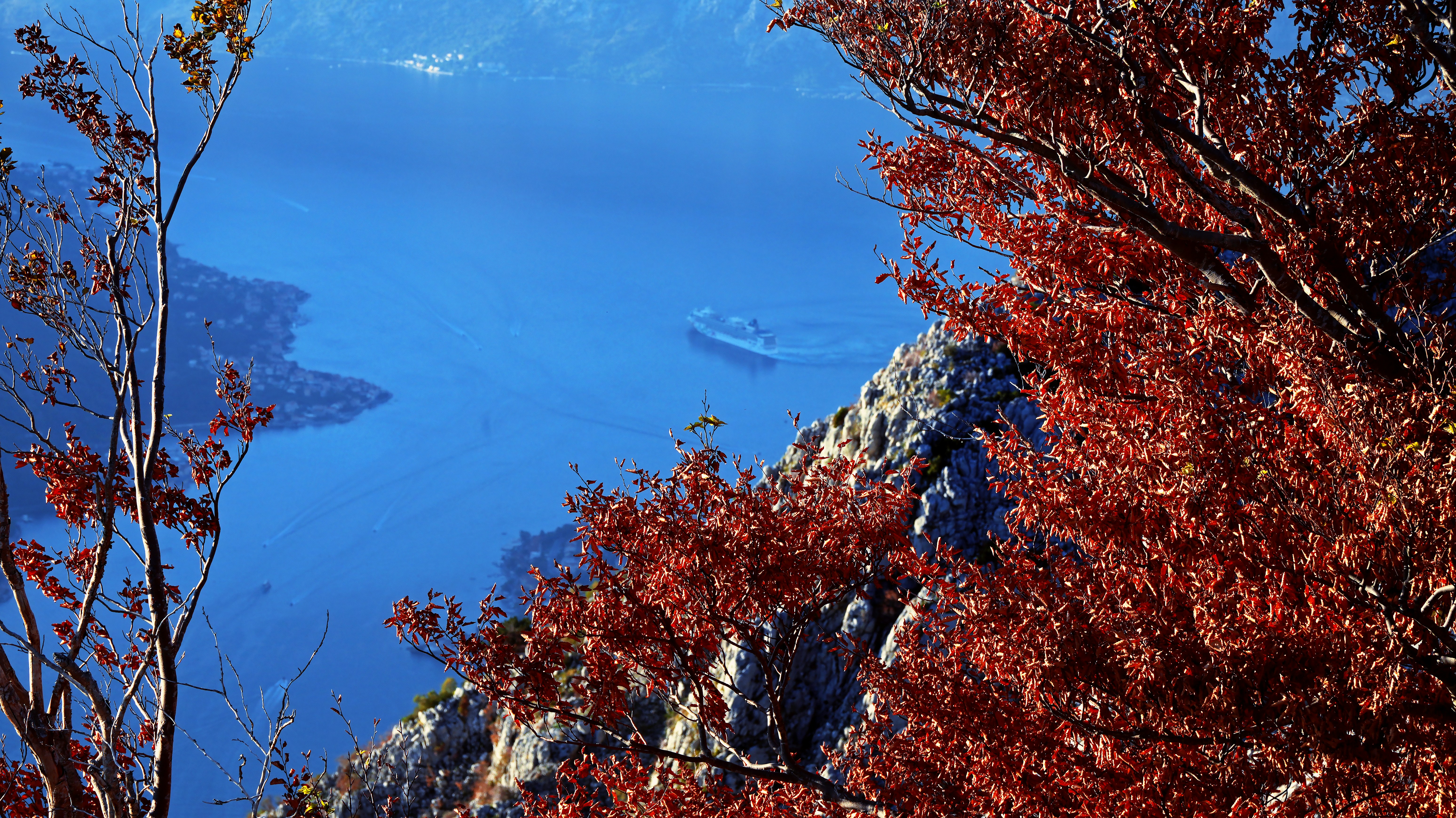 Crimson Foliage Overlooking a Quiet Bay