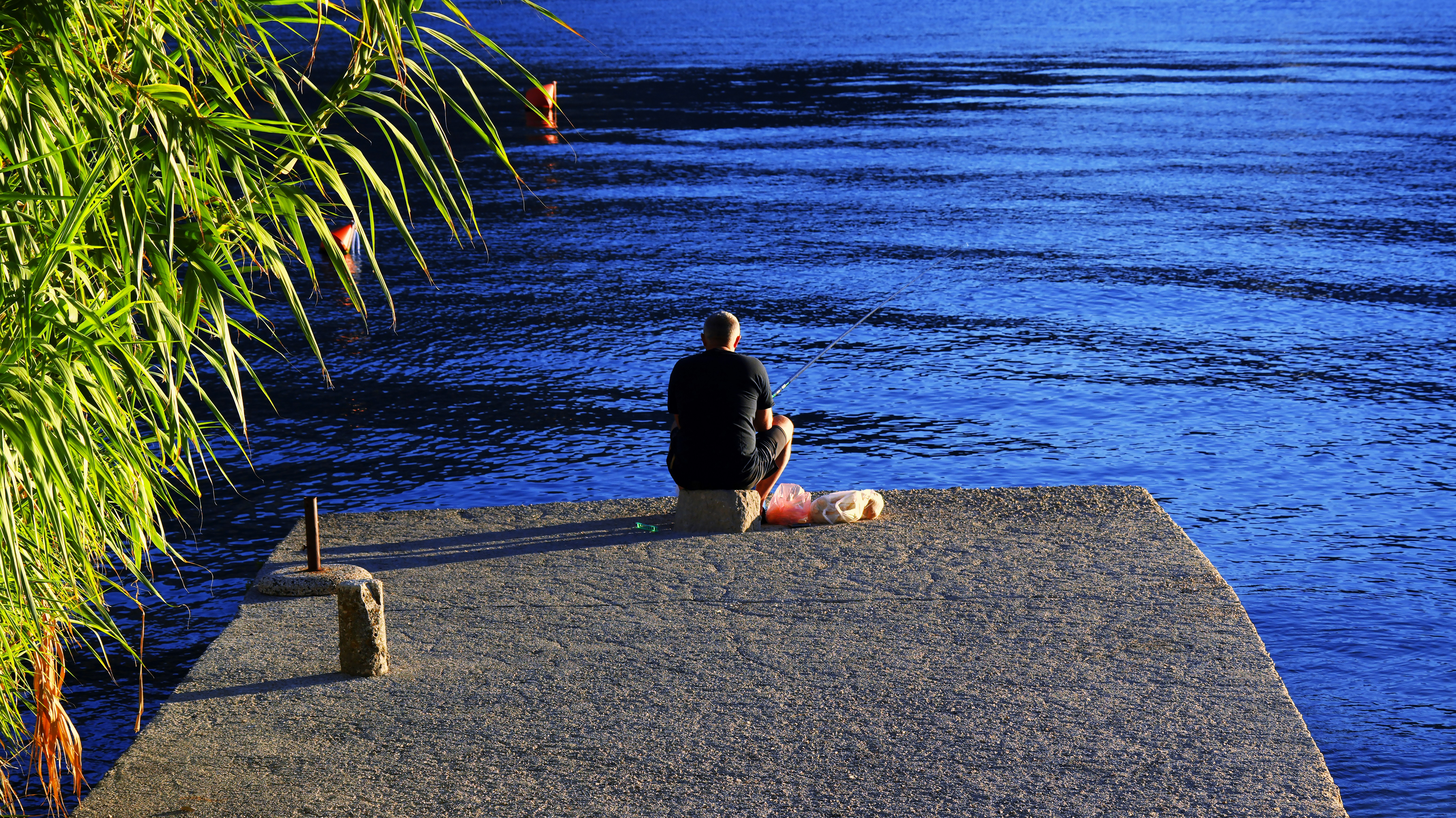 Silhouette at the Edge: A Quiet Moment by the Blue Lake