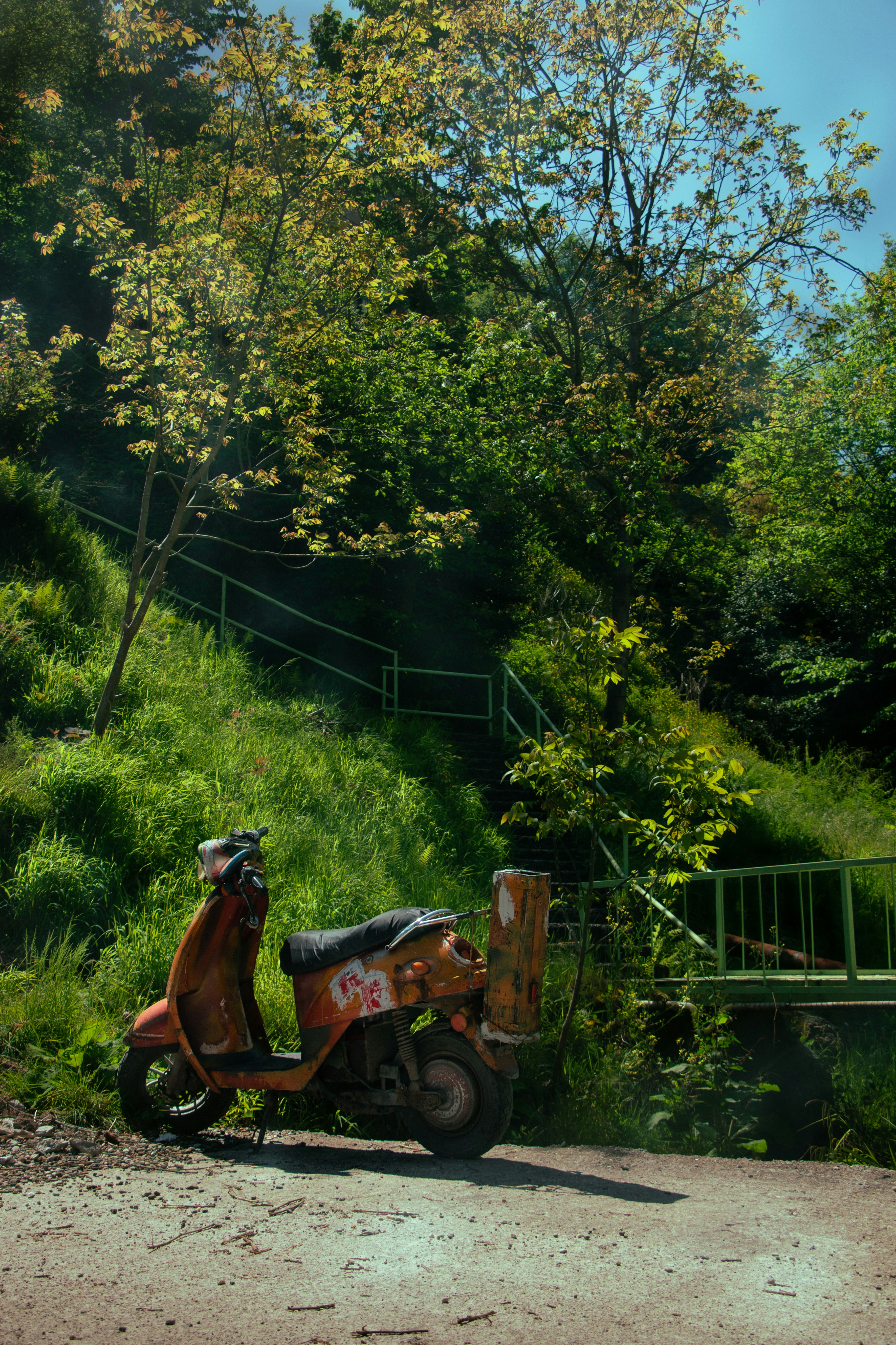 Sunlit Vespa by the Green Staircase