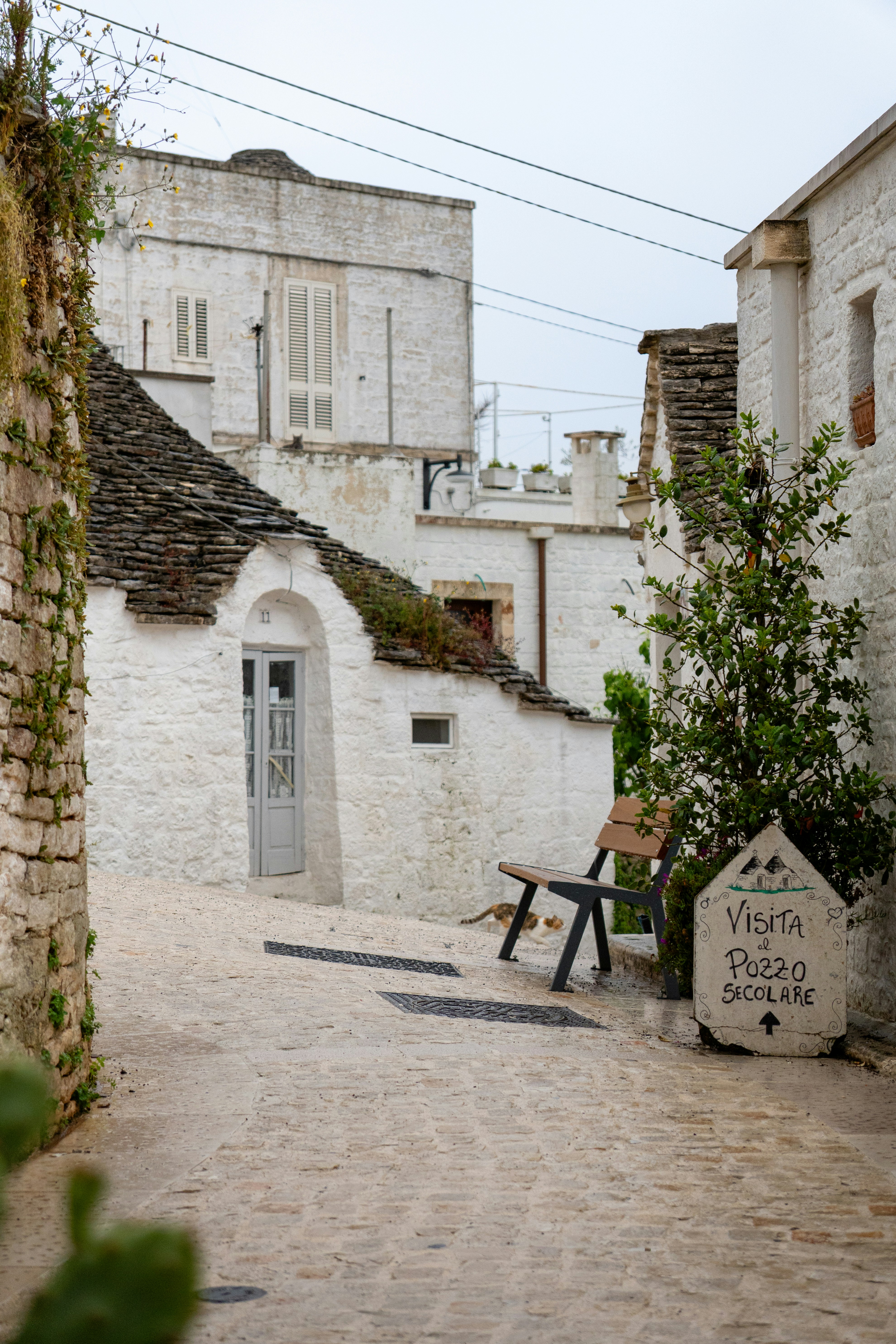 Stone-Court Crescent: Quiet Alley with Patchwork Roofs