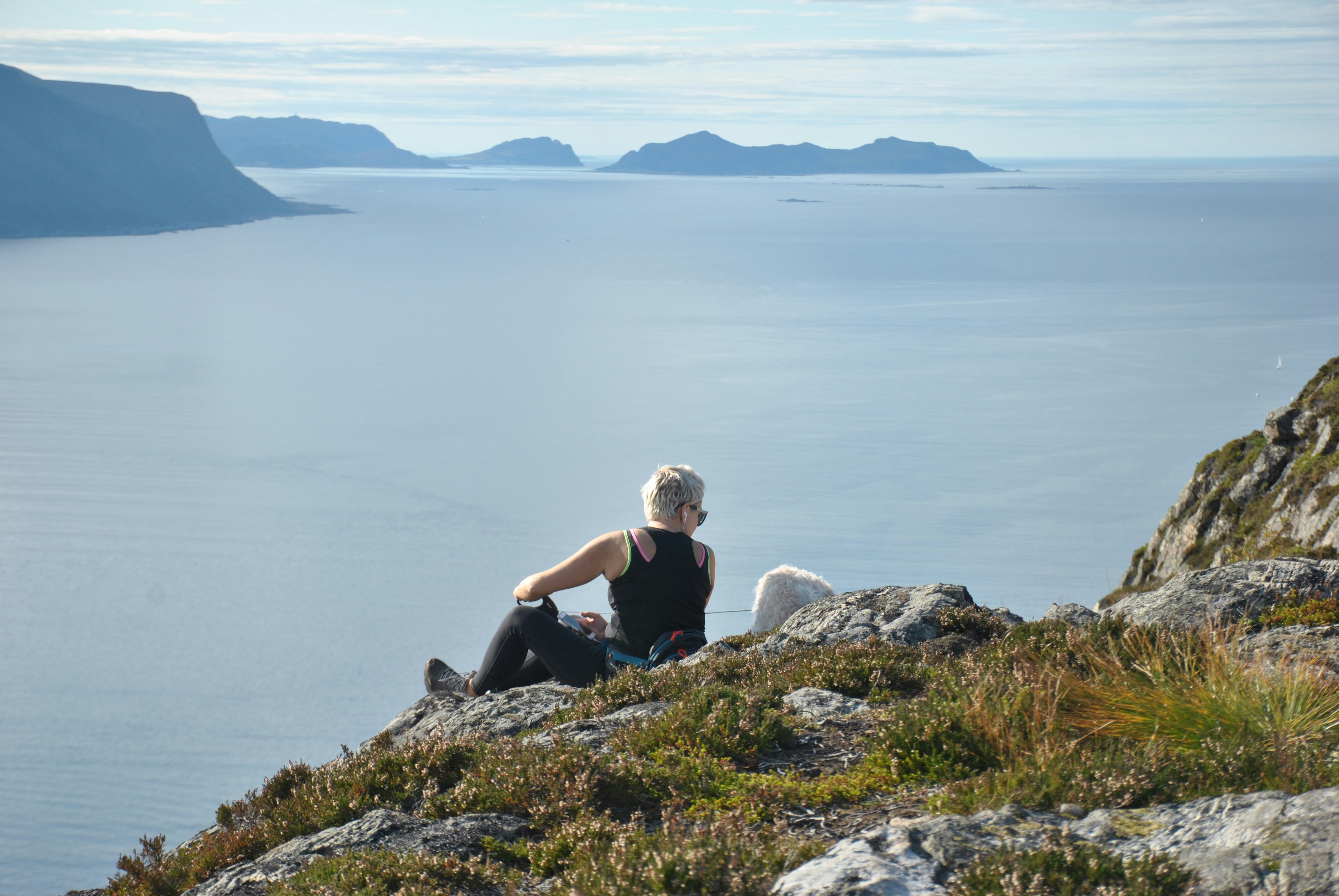 Cliffside Rest: A Moment Above the Sea