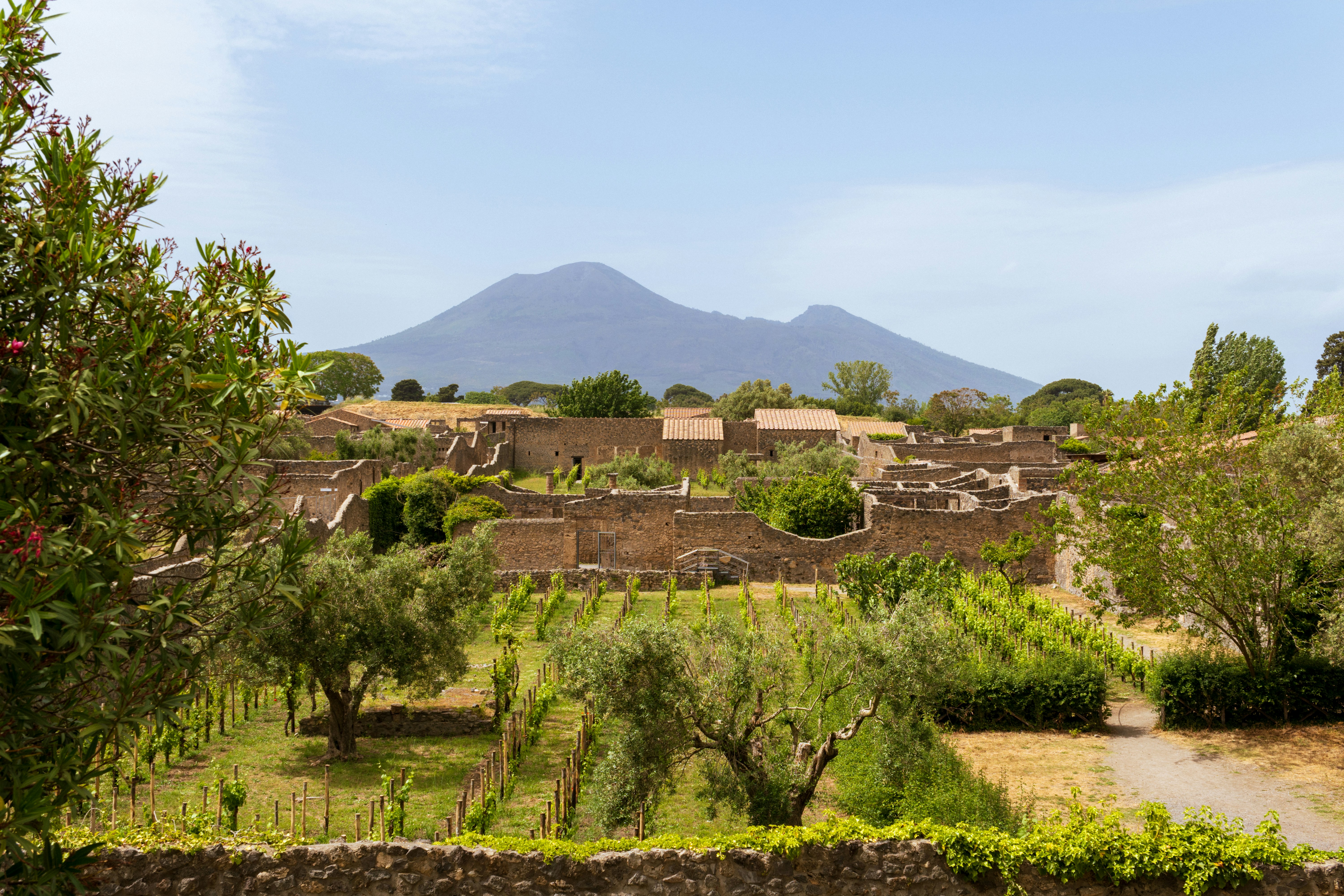 Terraced Gardens Beneath a Volcano Ridge