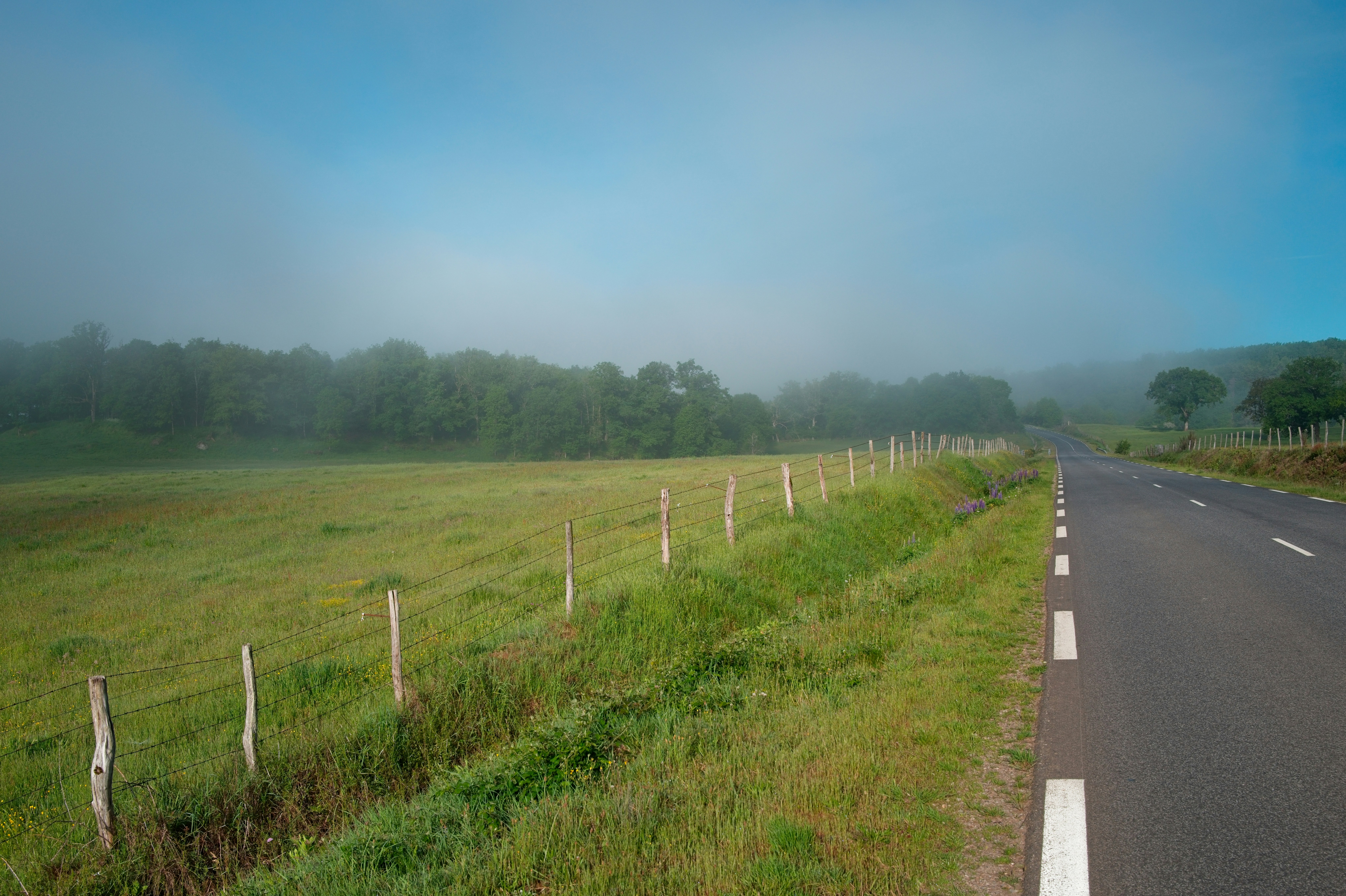 Roadside Quiet: A Fenced Field Meets an Open Highway