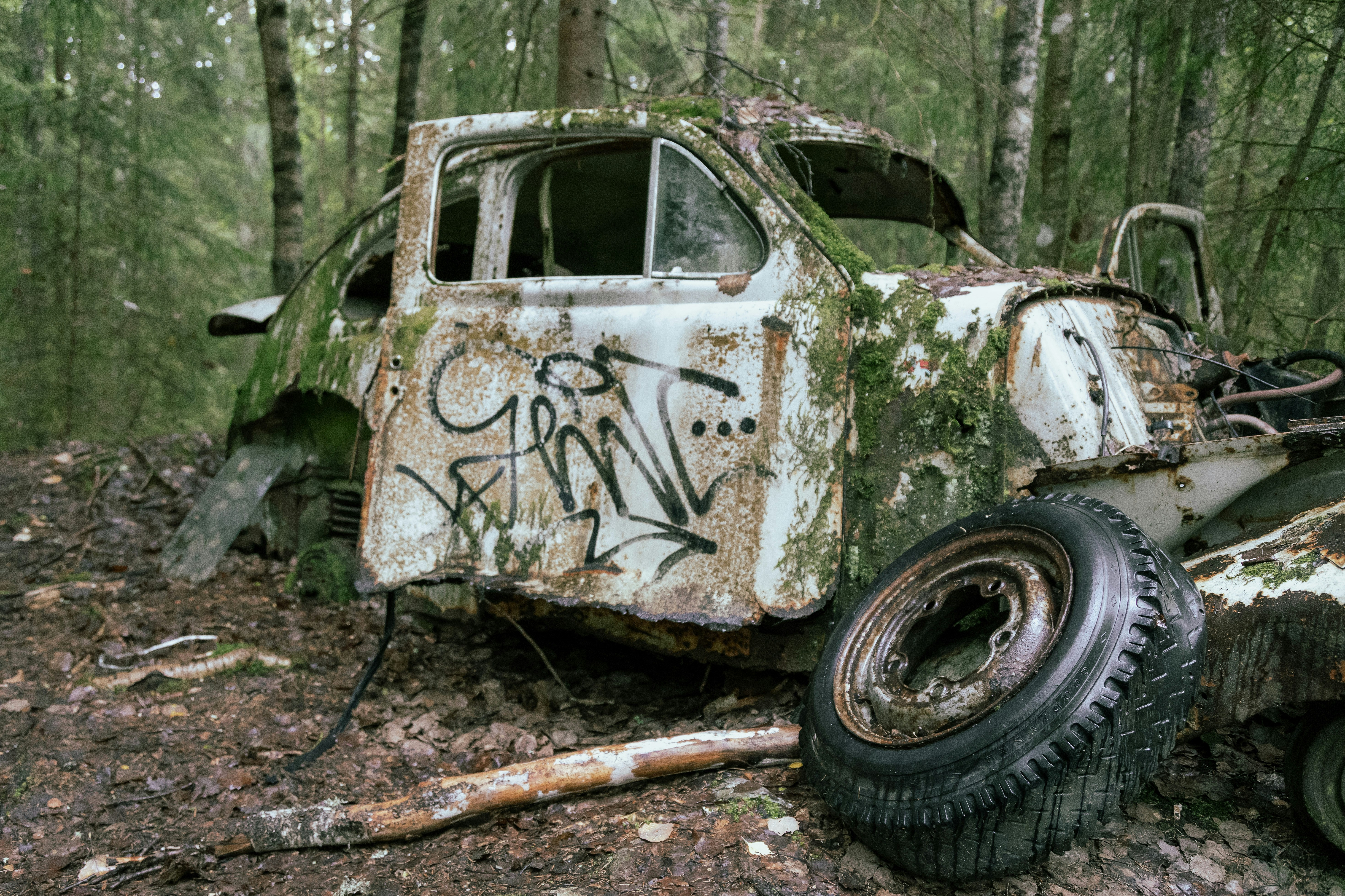 Rusting Ghost in the Pines