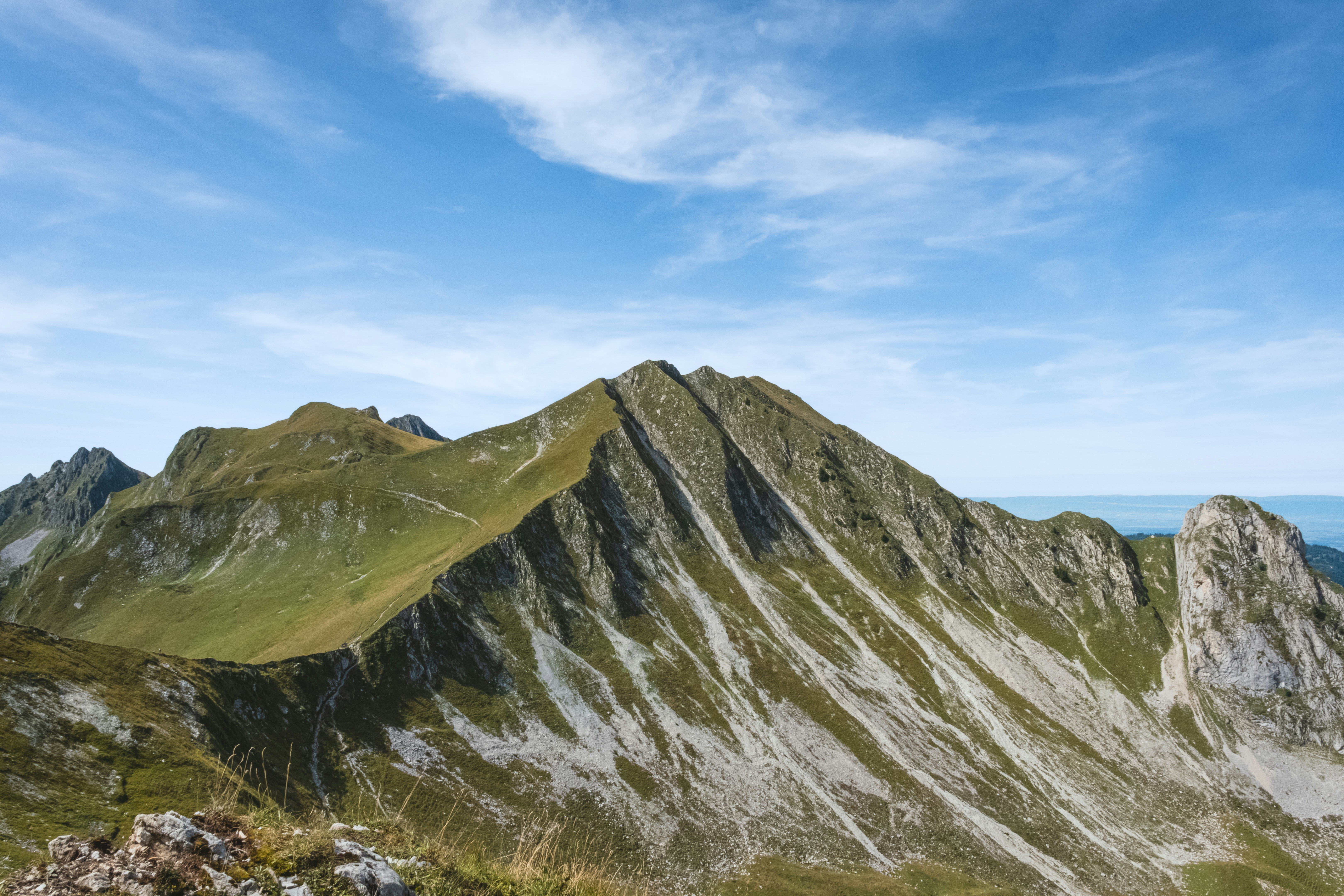 Ridge Crest at Sea-Bloom Mountain Panorama