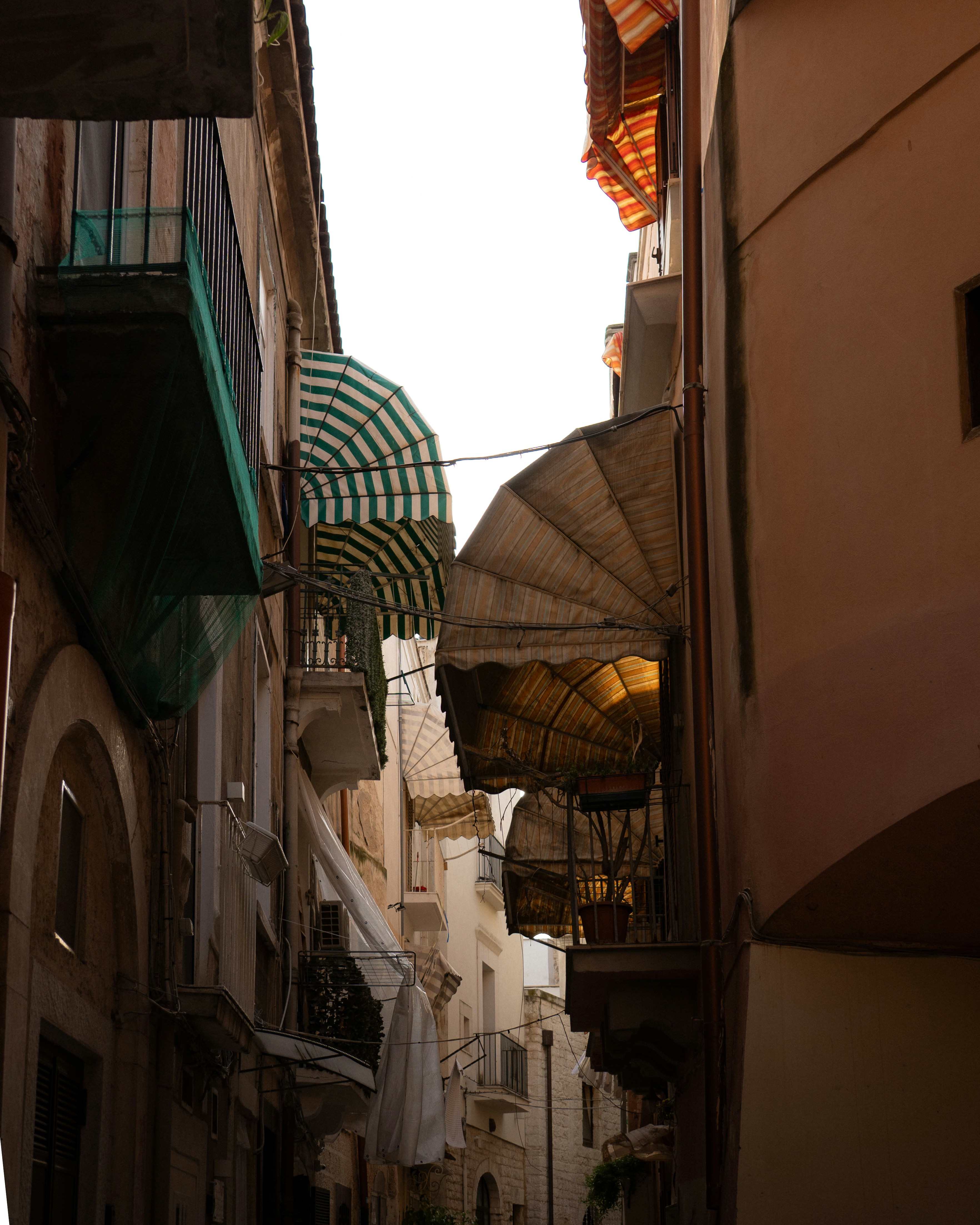 Whispering Aisles Under Striped Canopies
