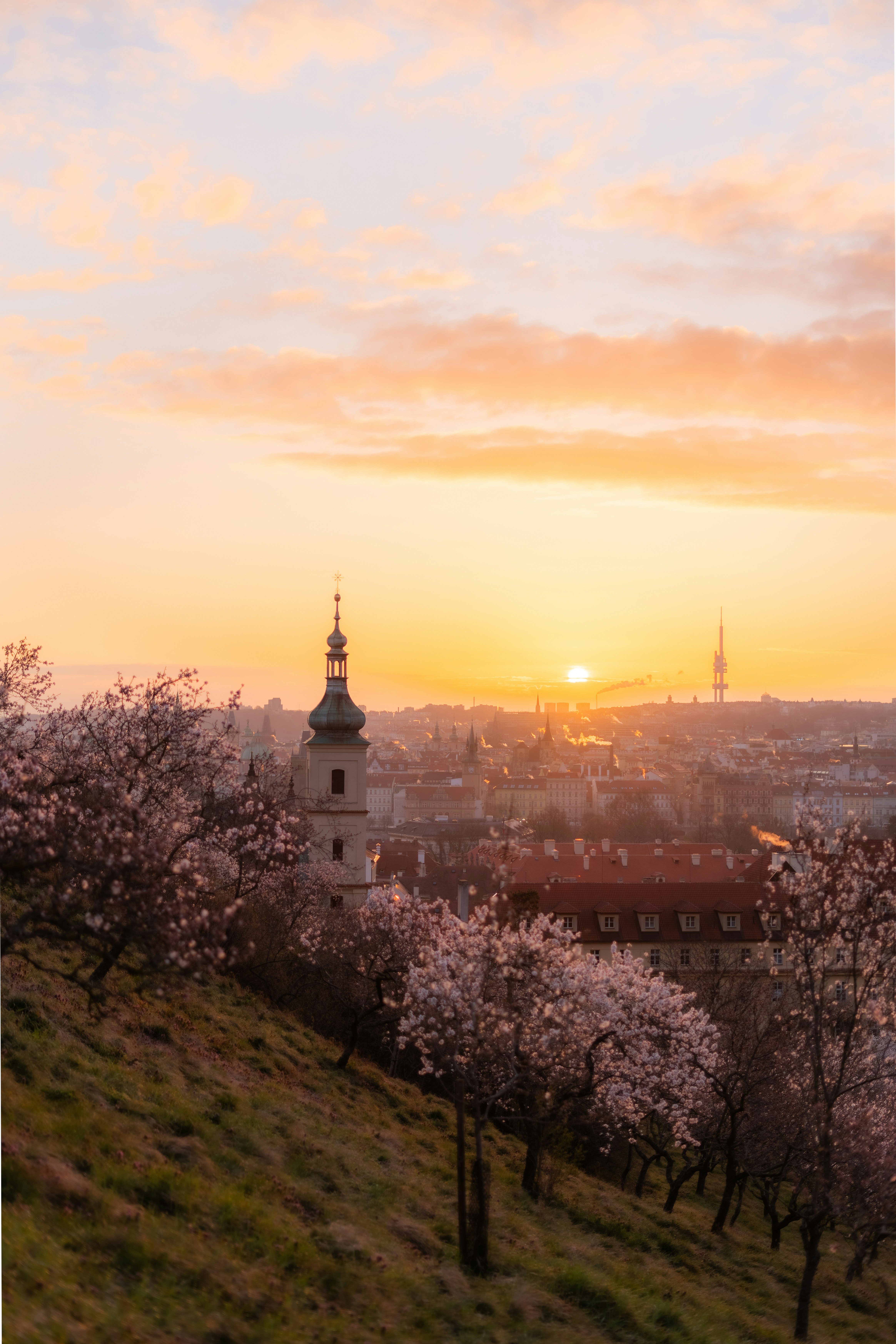 Sunrise on the Blooming Hill overlooking the City