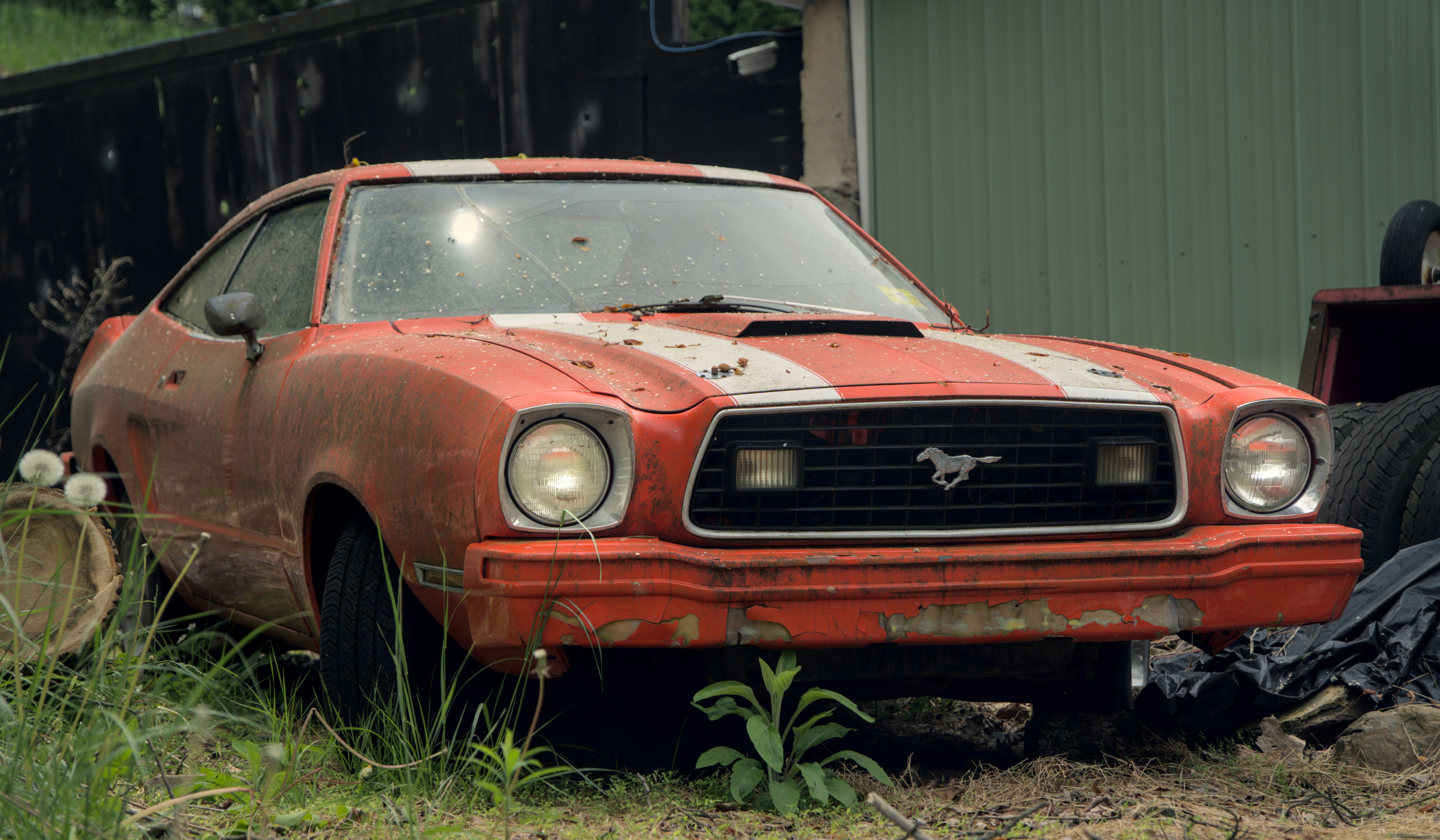 Rust-on-Red: A classic Mustang Slumbering in the Weeds