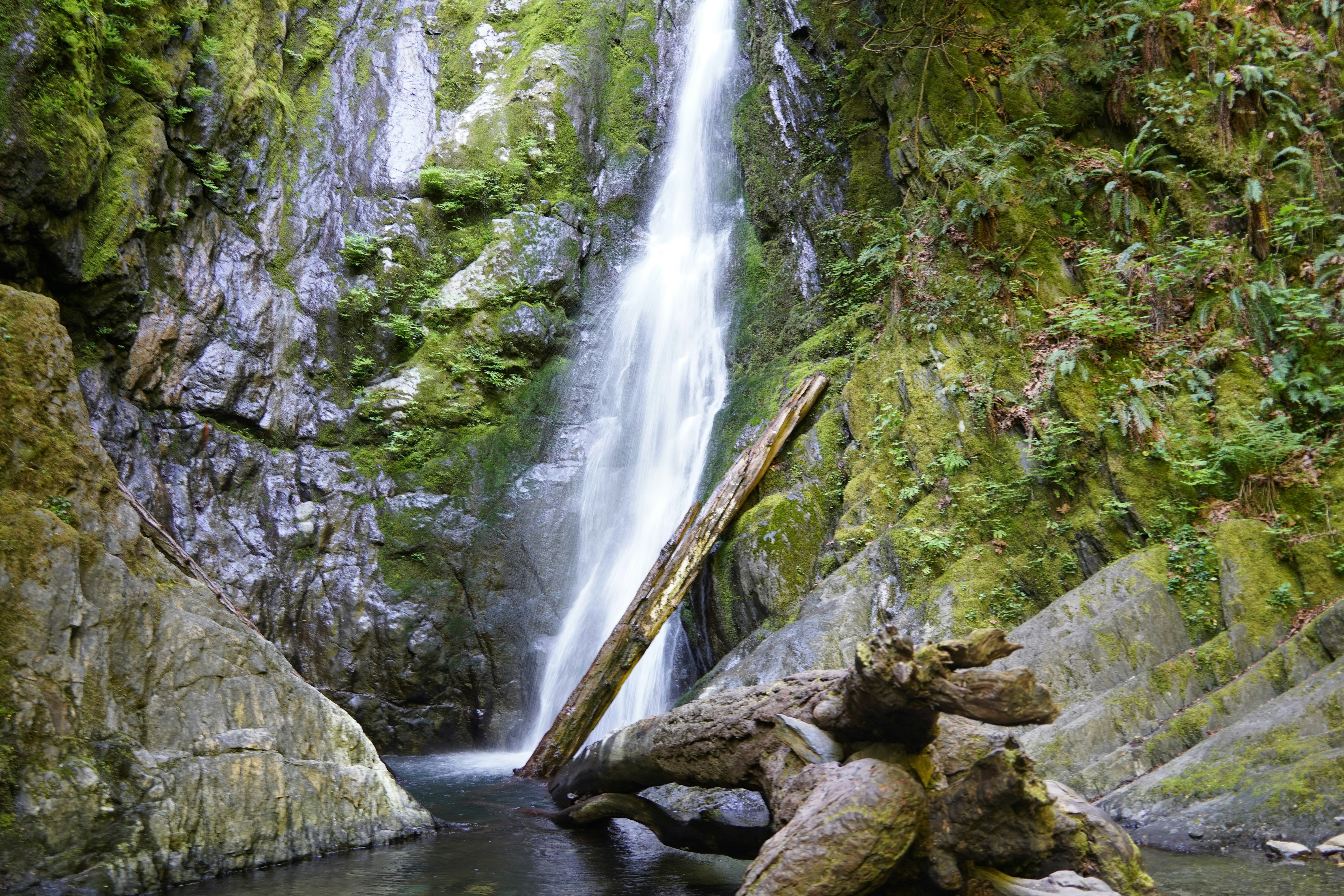 Cascade Lean: Fallen Log Framing a Narrow Waterfall