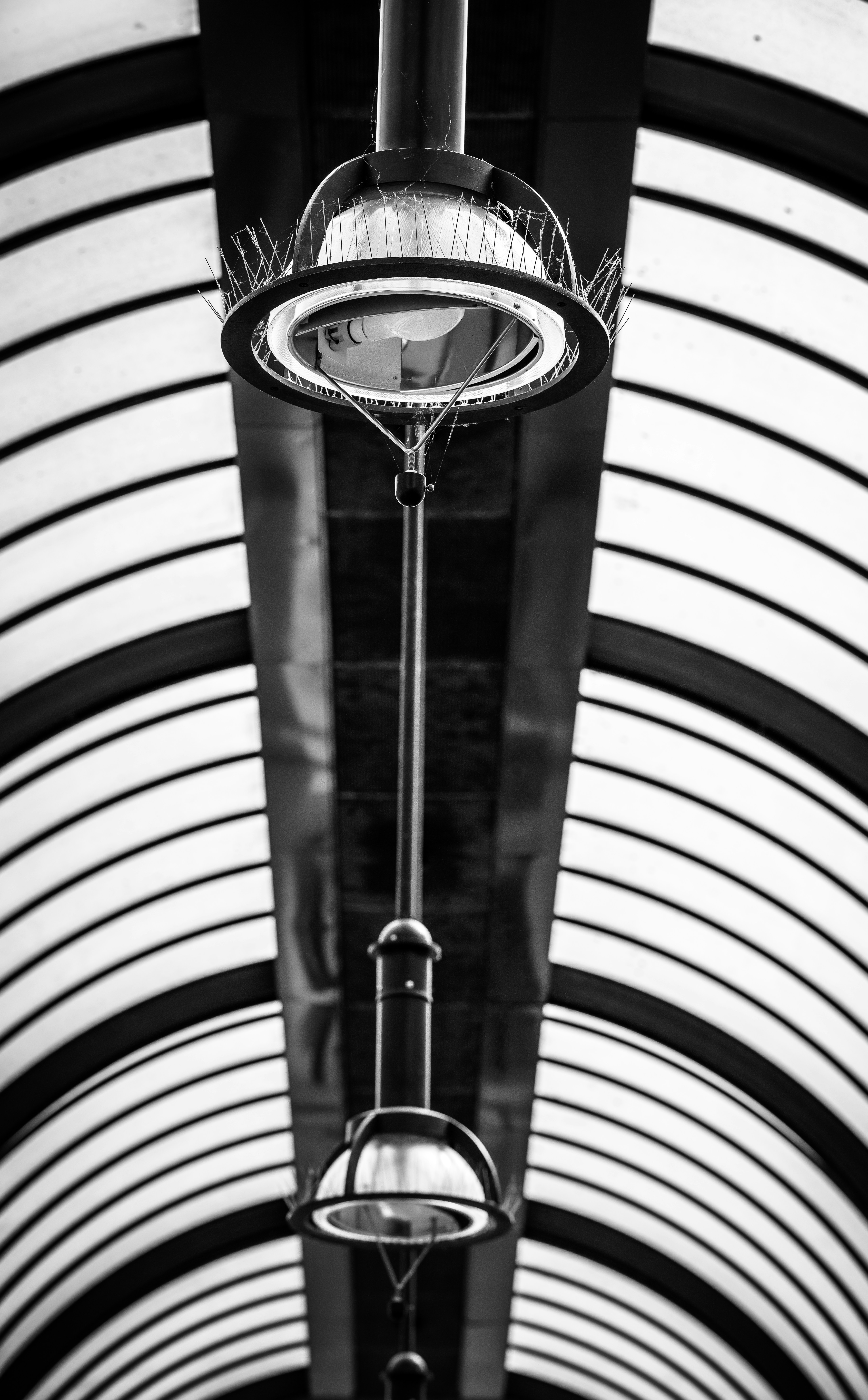 Circular Skylight: Monochrome Rays through an Orbiting Lamp
