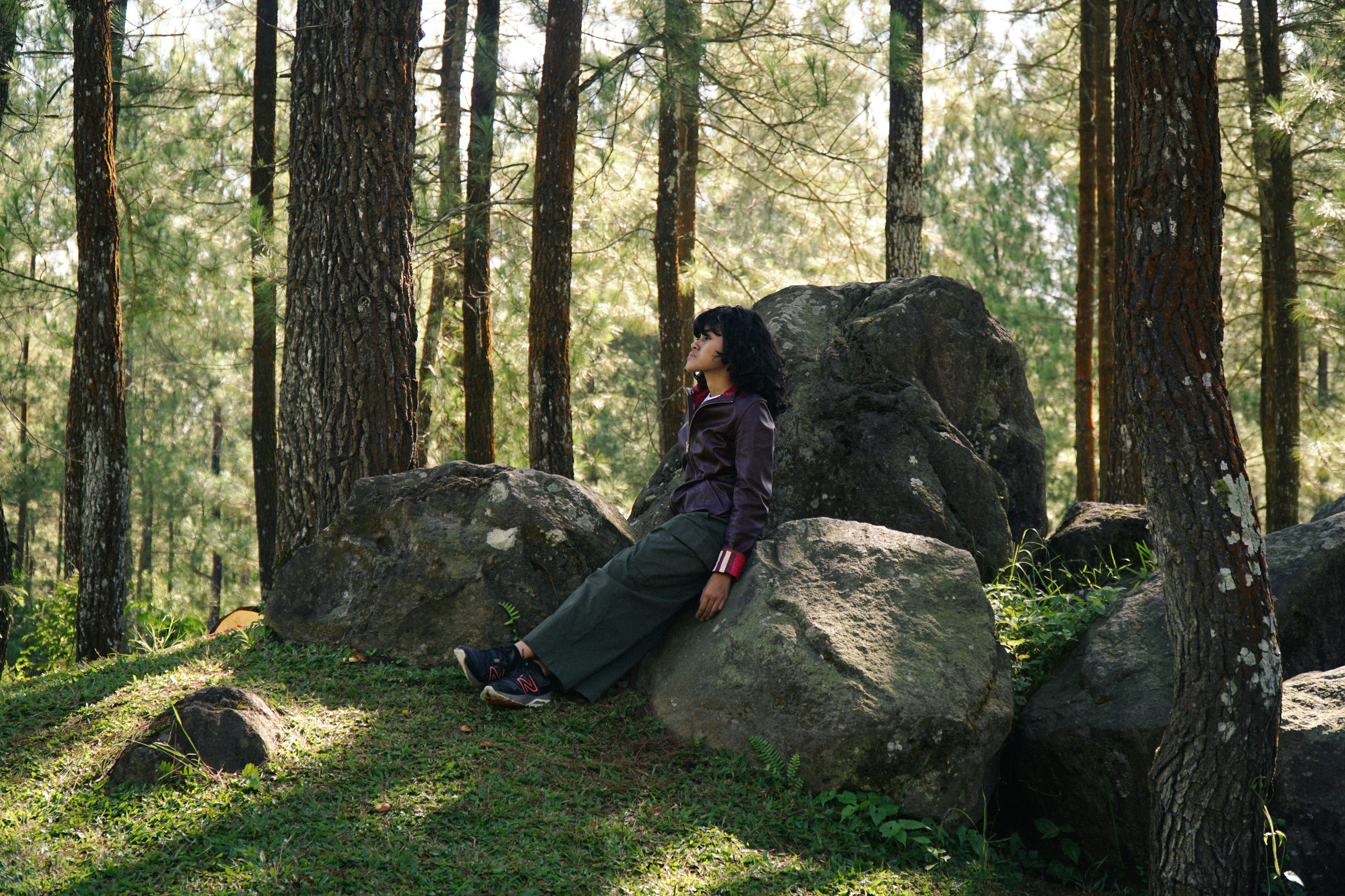 Lone figure resting among forest stones