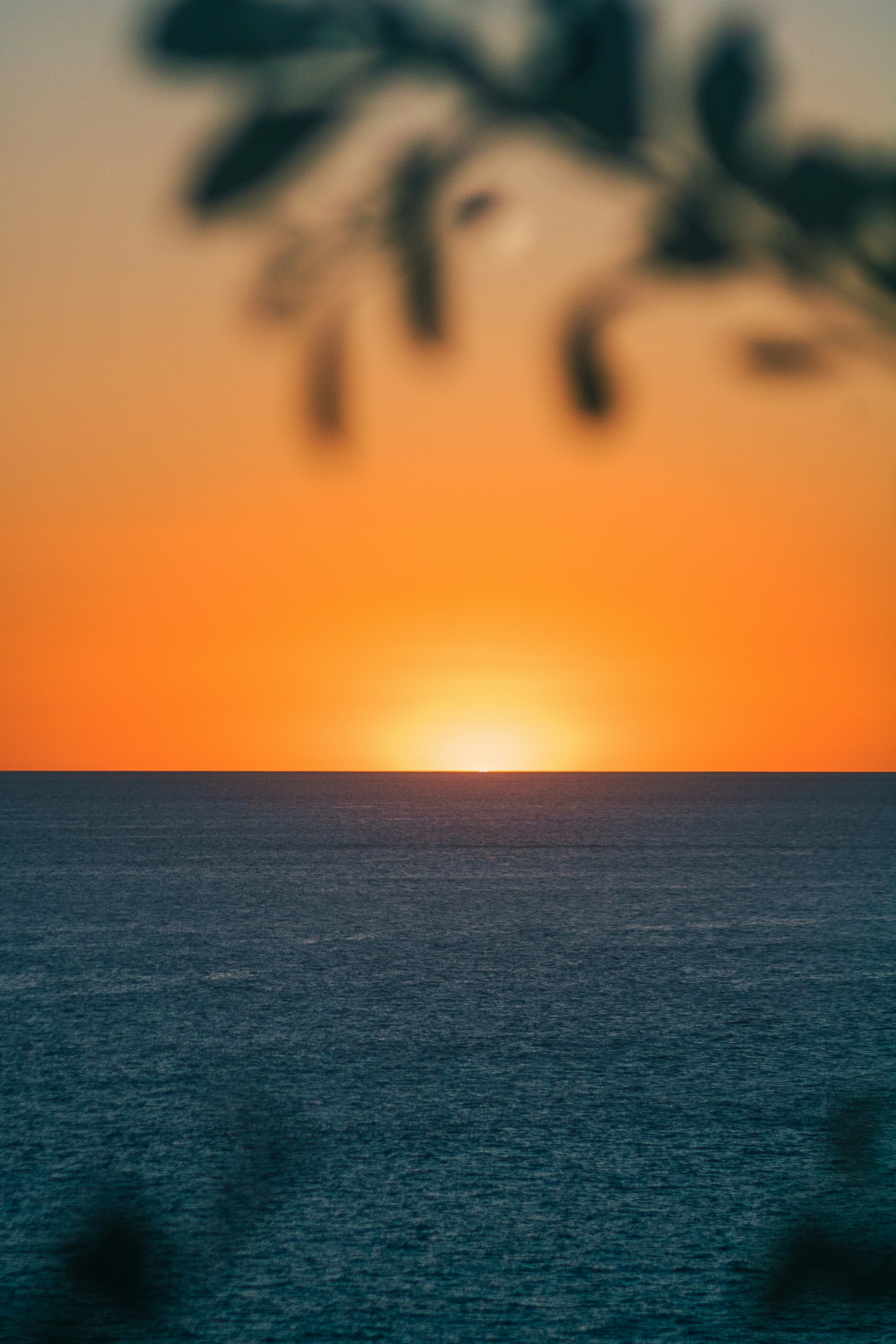 Sunset Quiet: Horizon Line Ember Seeping into Ocean