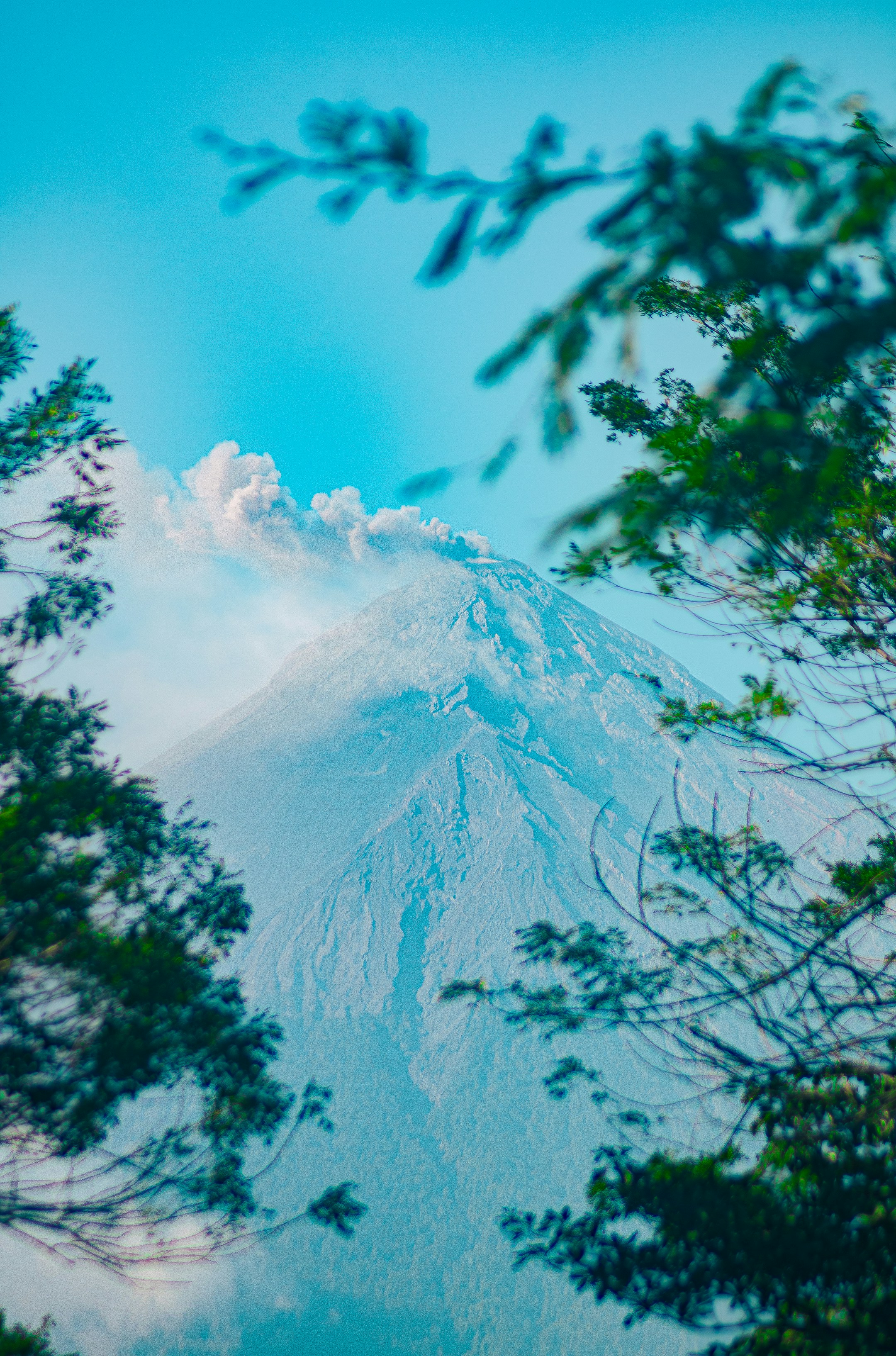 Cone of Stone: Mountain Framed by Whispering Pines