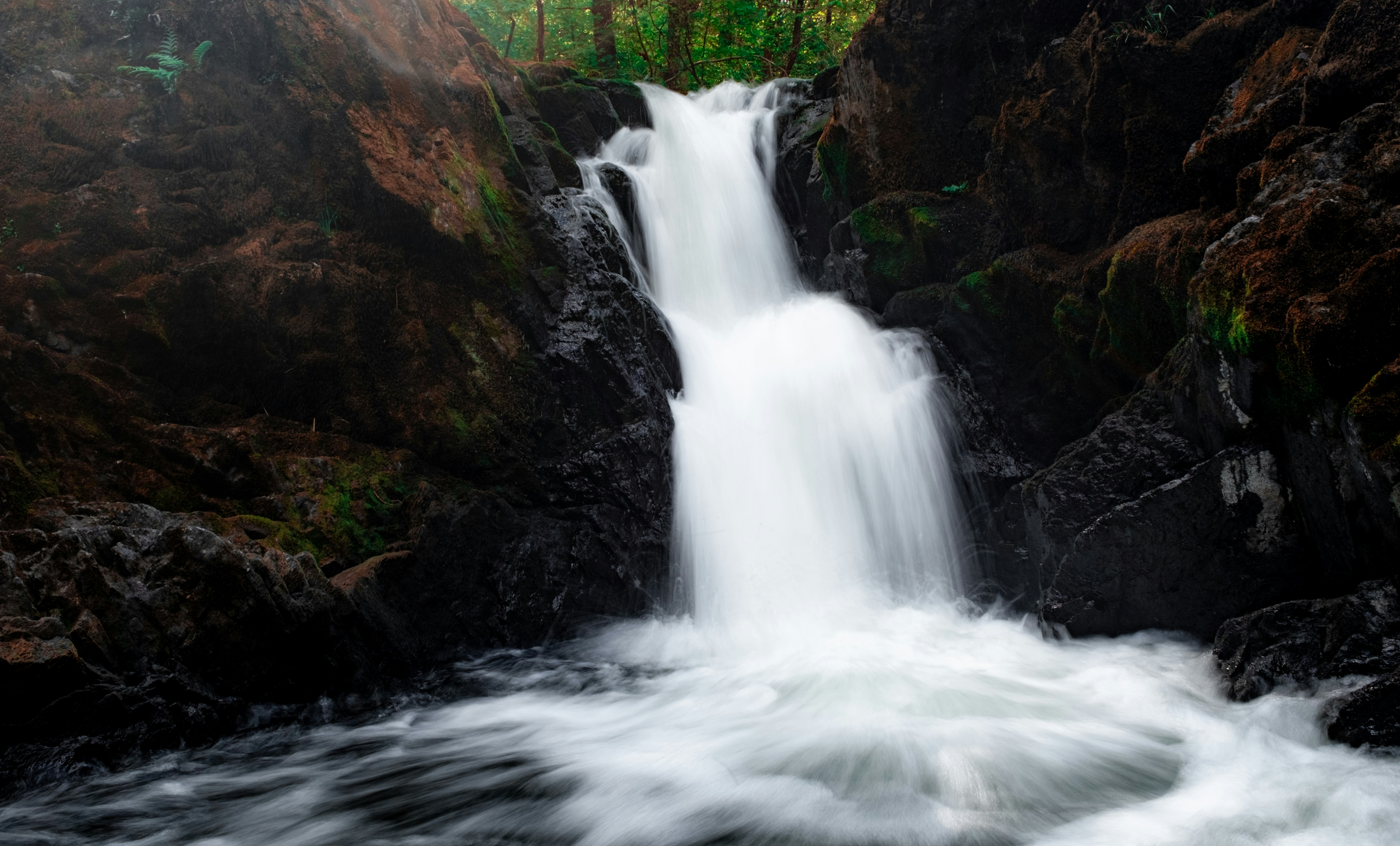 Whispering Cascade Between Mossy Walls