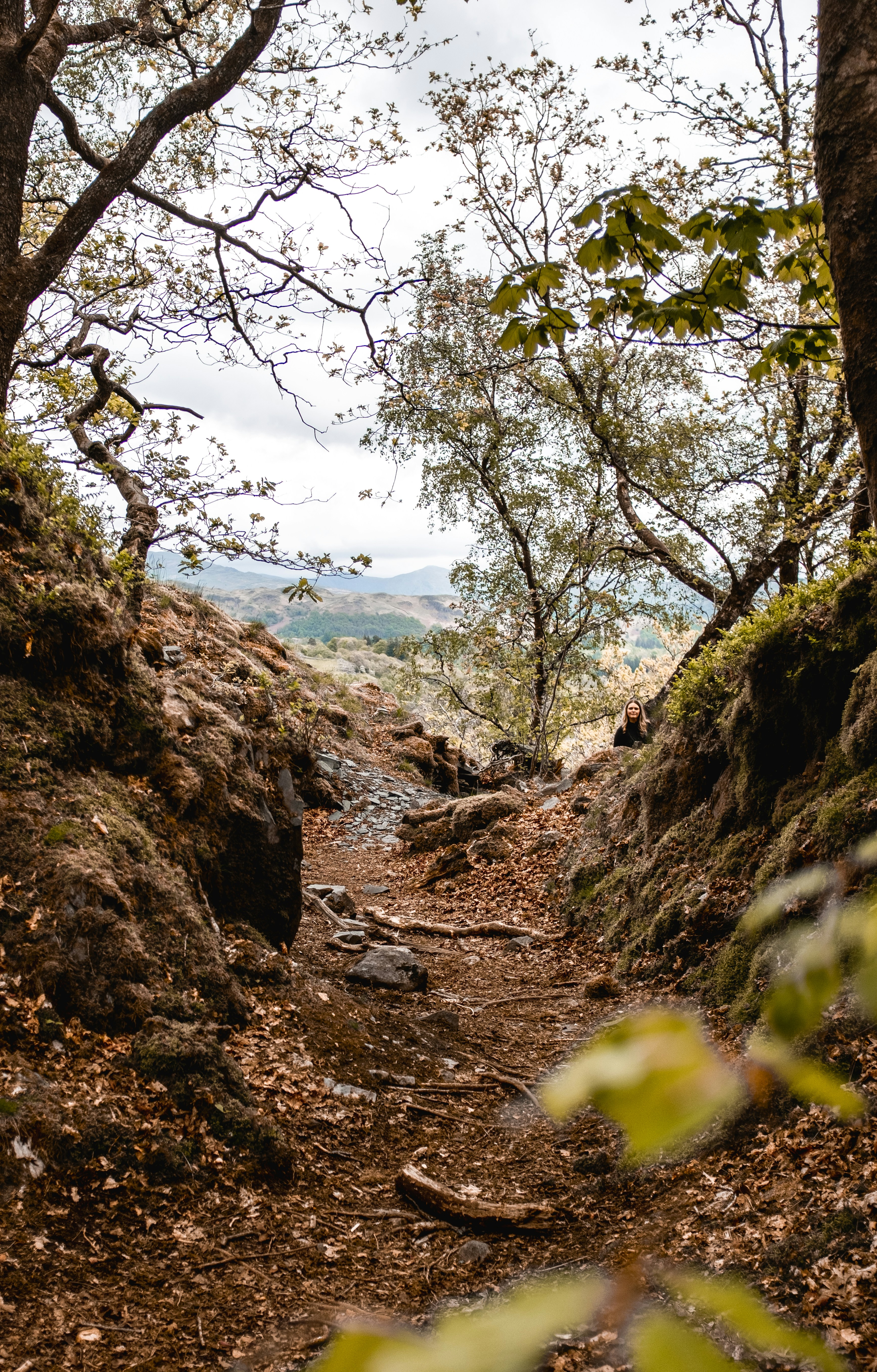 Hidden Wanderer at the Rim: A Narrow Canyon Path Framing a Distant Figure