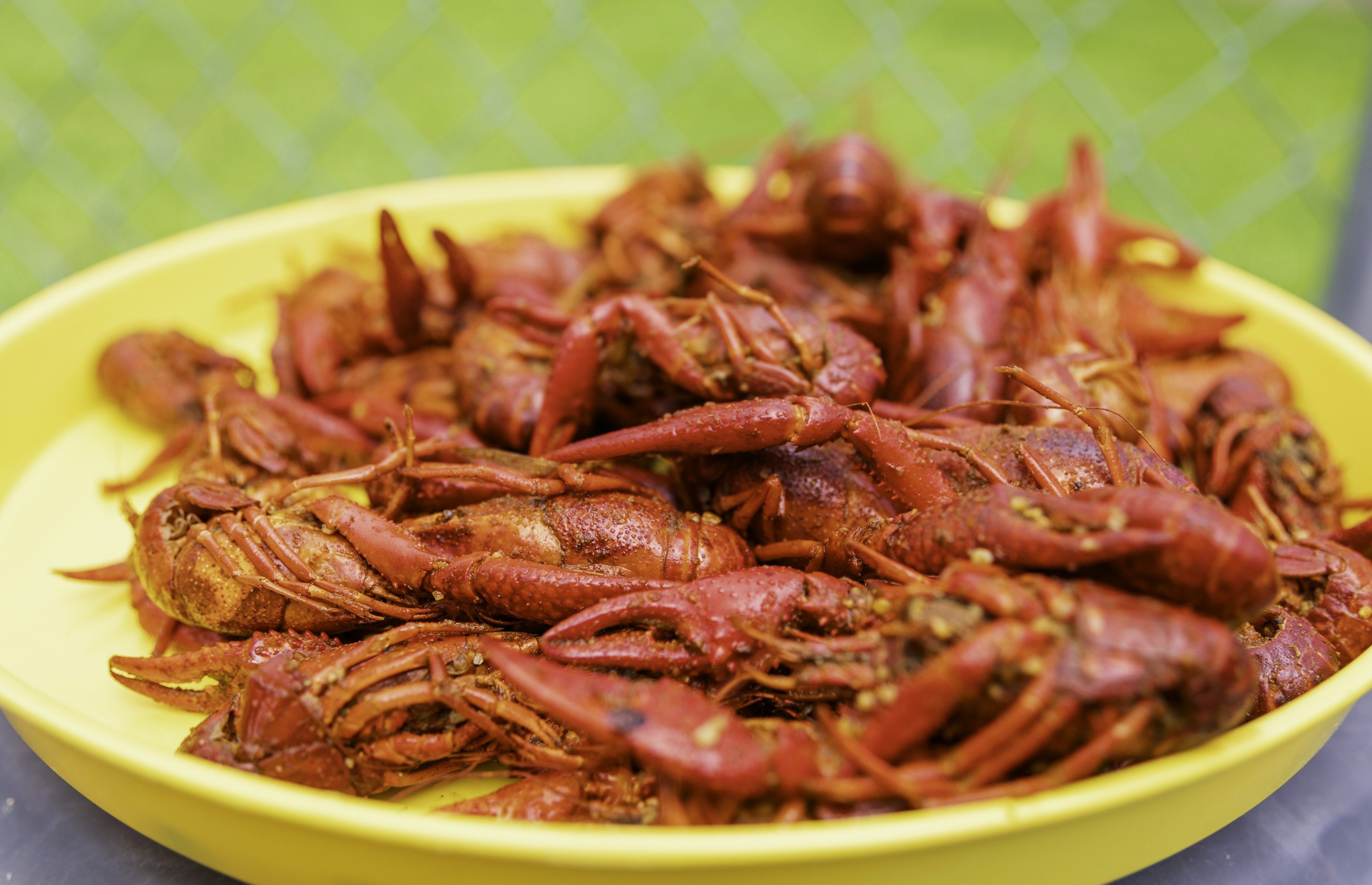 Scarlet Snack Bowl: A Heaping Plate of Red Crawfish