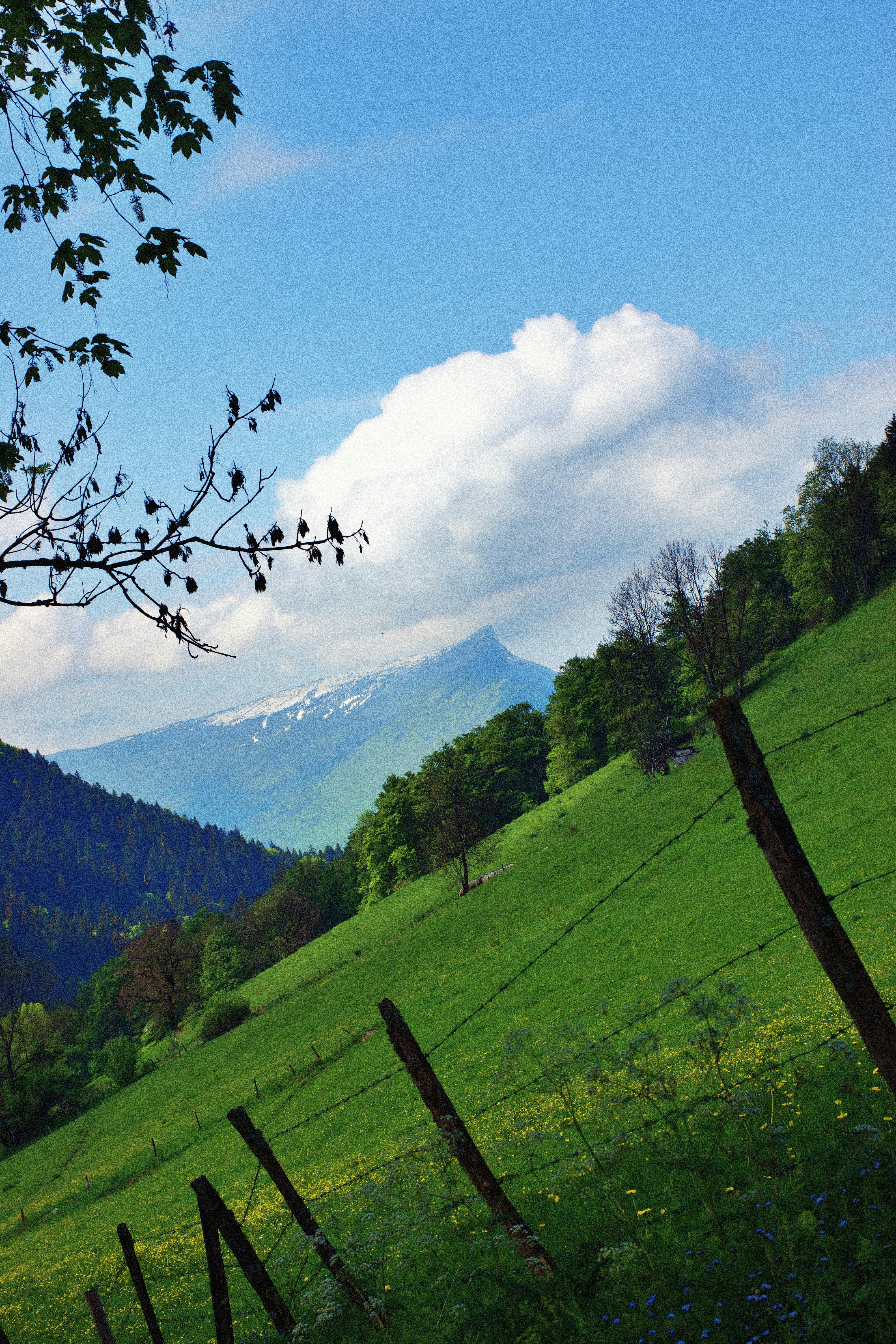 Ridge and Sky: A Quiet Green Sloping Landscape Framed by Barbed Wire
